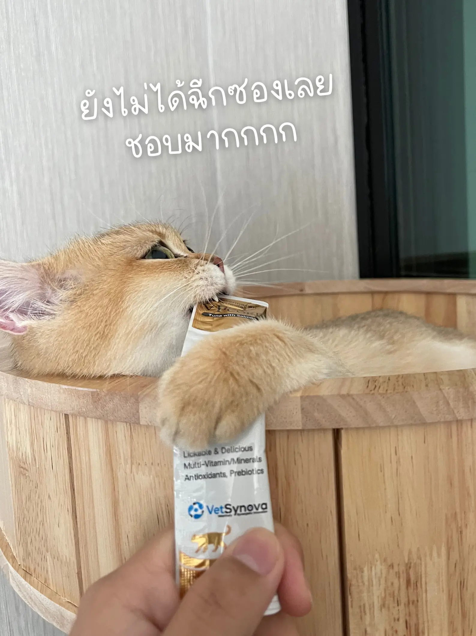 VF+CORE | แกลเลอรีที่โพสต์โดย Evalyn | Lemon8