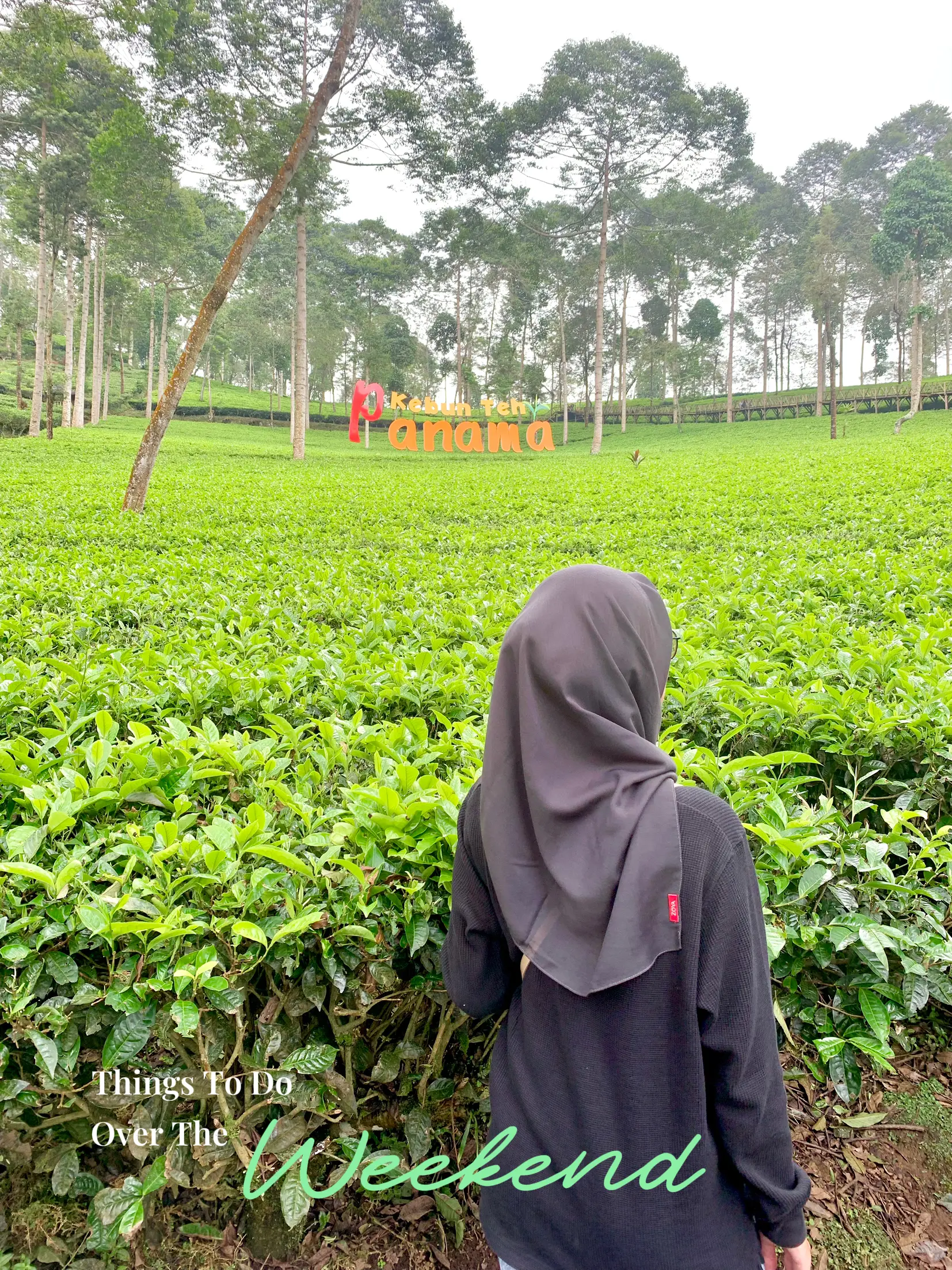 Pose ideas buat kamu si pemalu | Galeri diposting oleh bestbest ʚɞ | Lemon8