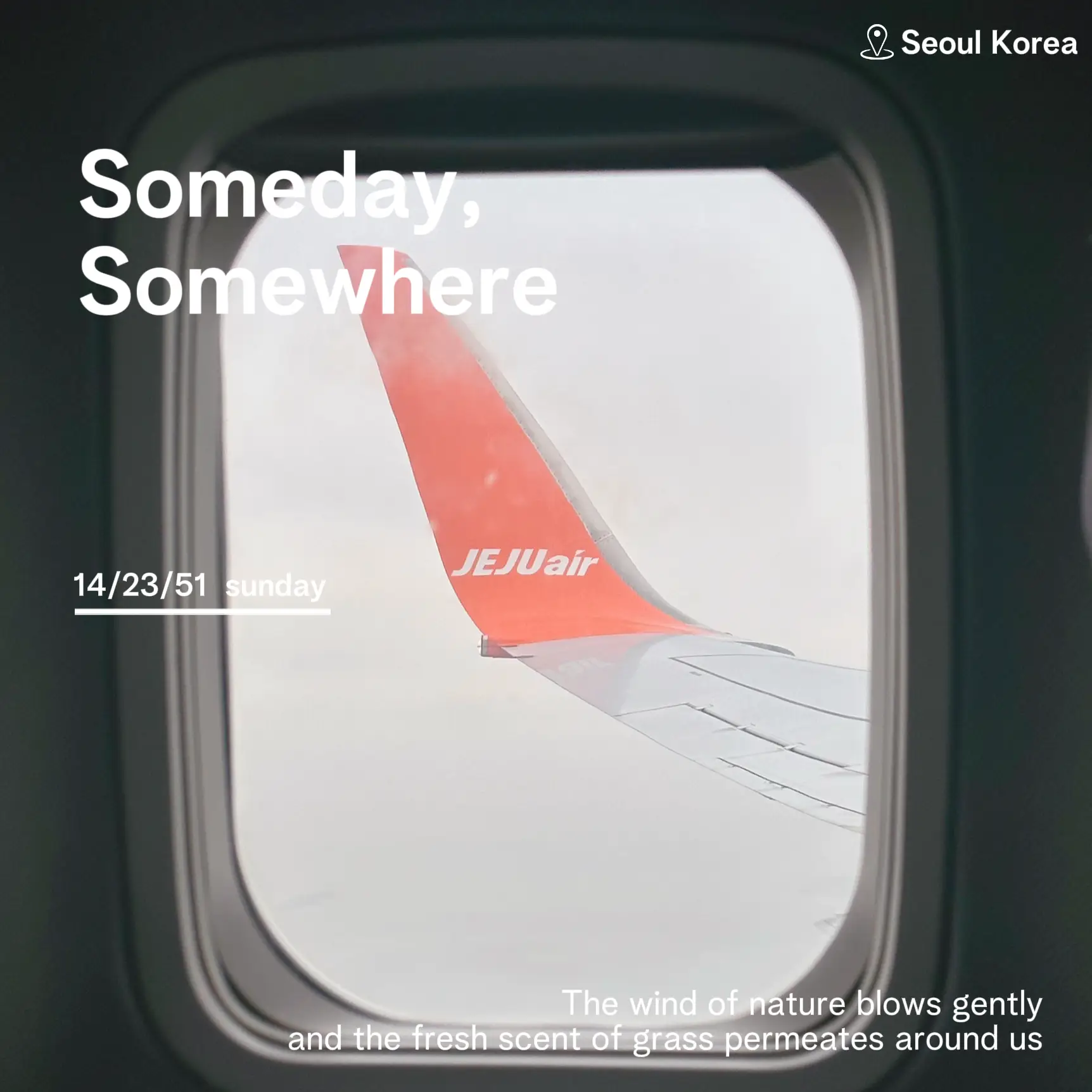 รีวิวสายการบิน JEJUAIR ️🇰🇷 | แกลเลอรีที่โพสต์โดย ʝαɾҽҽ ɯσɾʅԃ ᵕ̈ | Lemon8