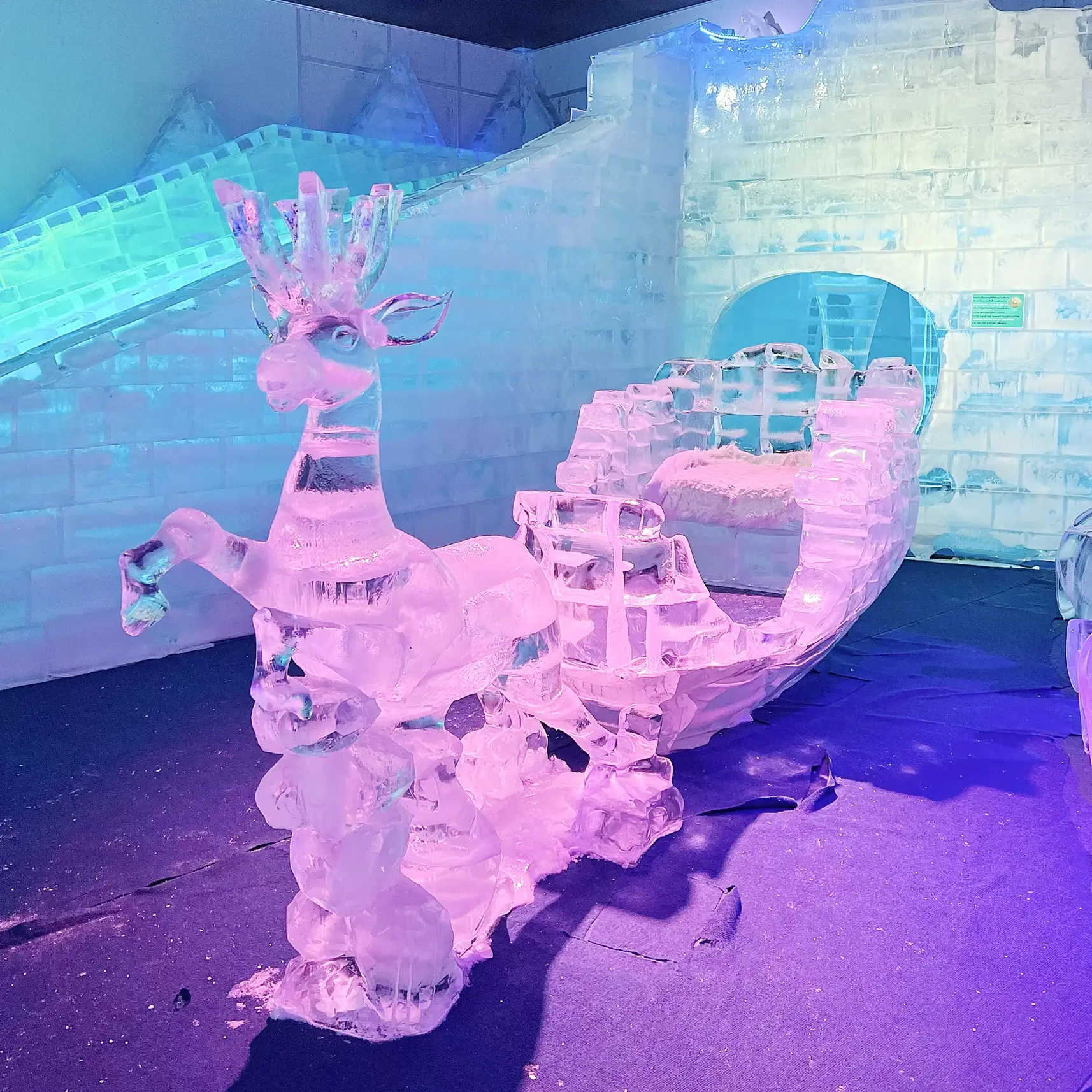 พาเที่ยวเมืองน้ำแข็ง Frost Magical Ice of Siam พัทยานี่เอง | แกลเลอรี ...