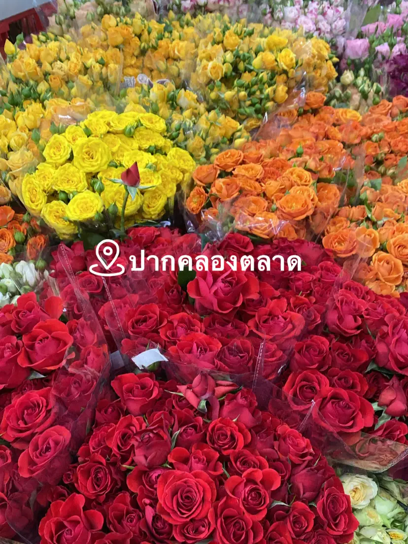 The Flower Market City Deep | Best Flower Site