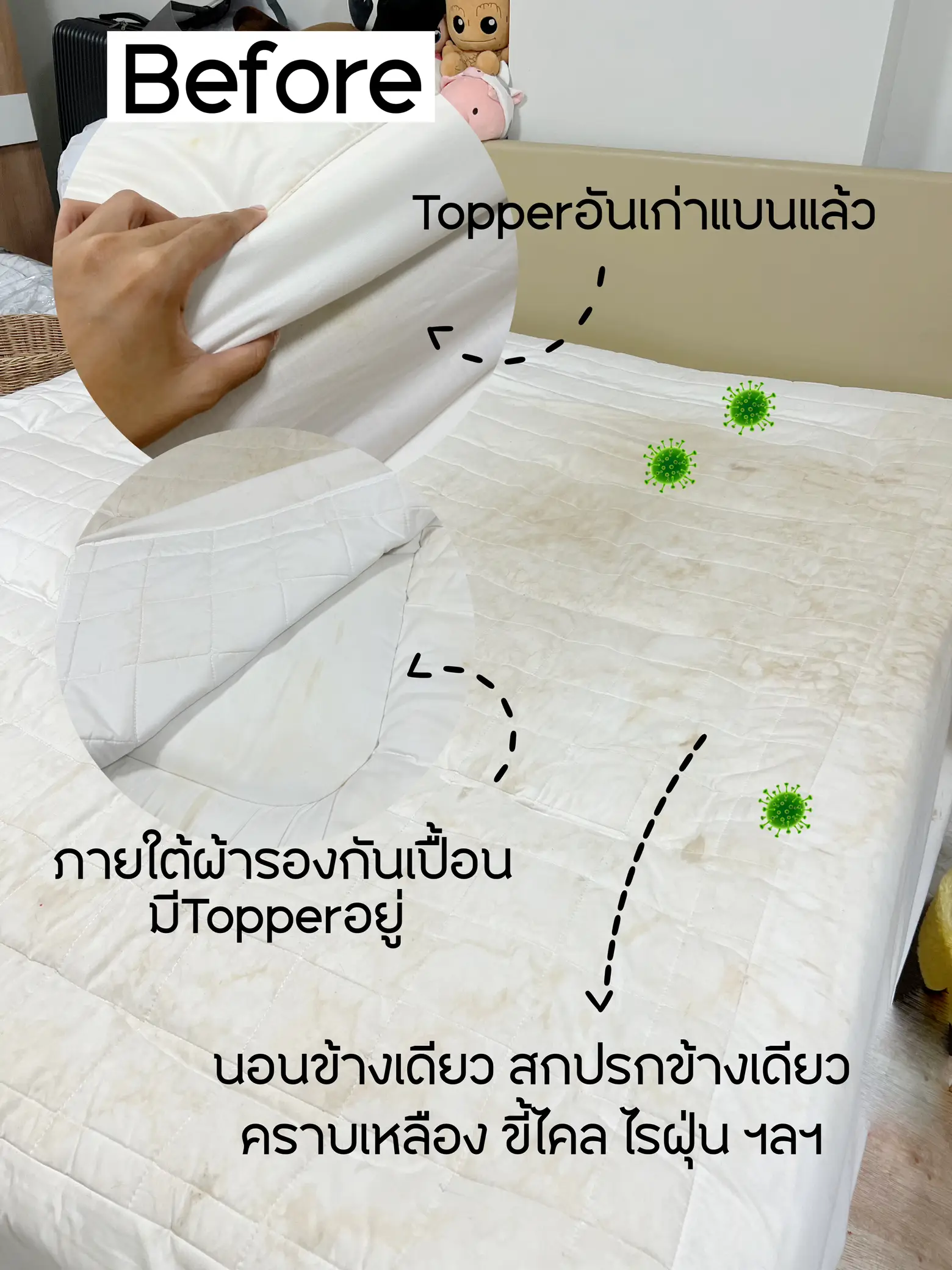 Topperหนา 2 นิ้ว - การค้นหาใน Lemon8