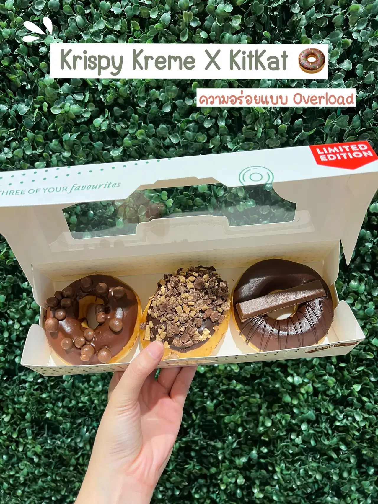 รีวิวเมนูใหม่ Krispy Kreme!!🍩💖 | แกลเลอรีที่โพสต์โดย justeatandburn ...