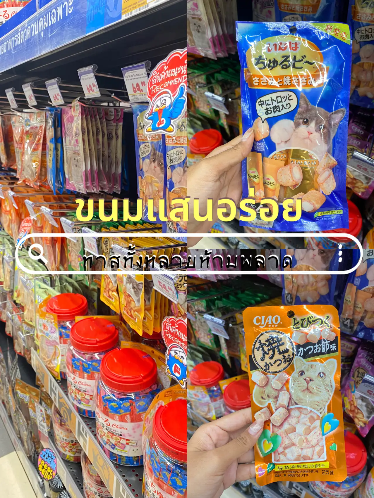 พาส่องโซนสัตว์เลี้ยงที่ Don Don: Donki 😻 | แกลเลอรีที่โพสต์โดย PPun&My ...