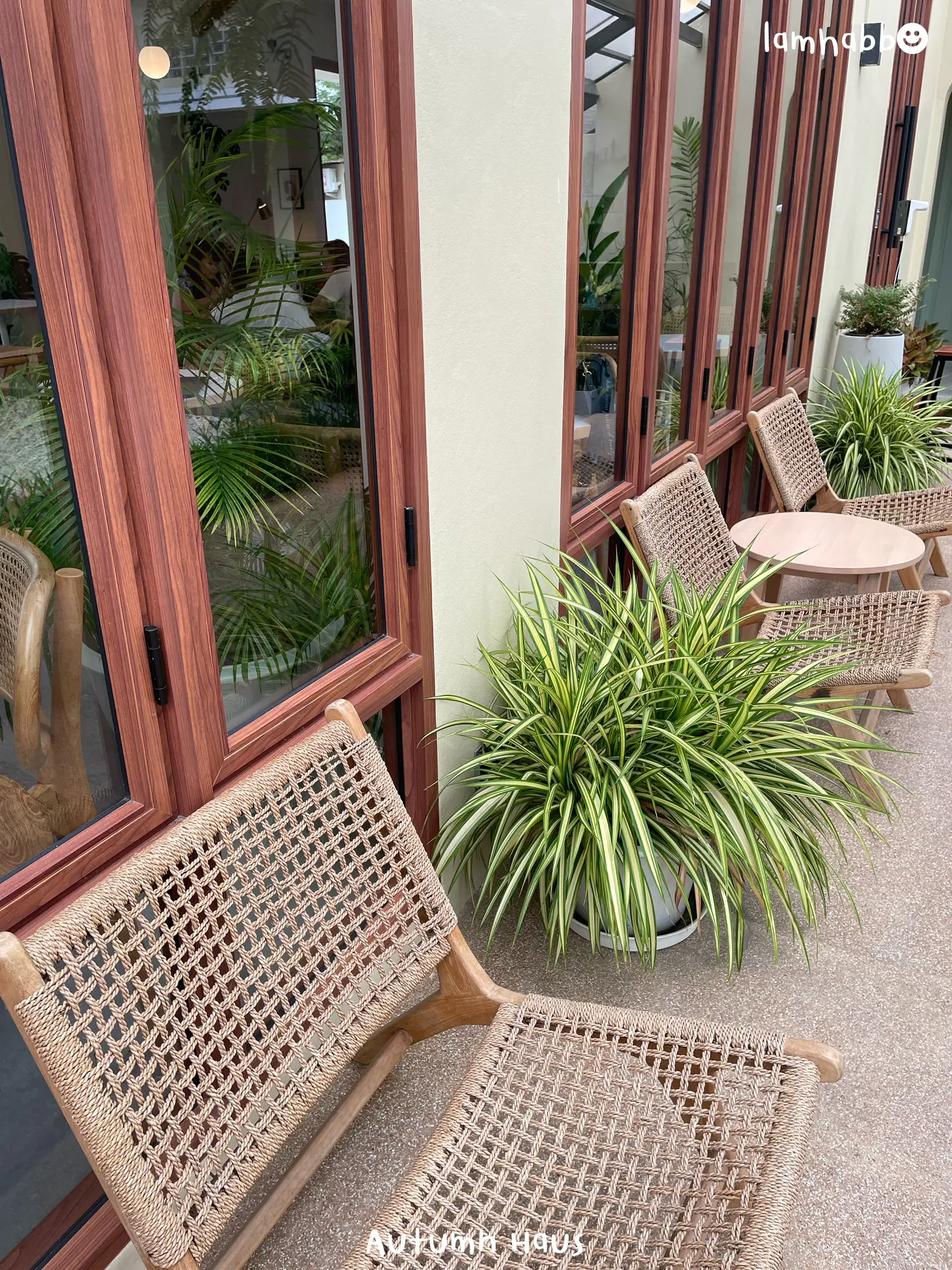 สายเที่ยวขอแนะนำคาเฟ่ Autumn Haus นครปฐม 🌳🍰🍹 | แกลเลอรีที่โพสต์โดย ...