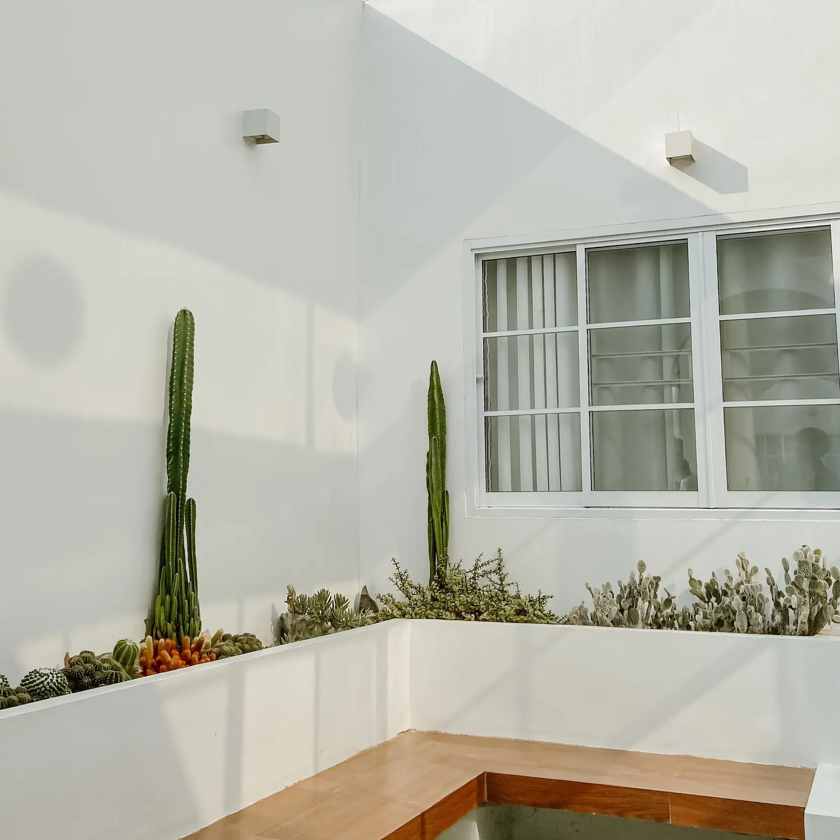 ‧₊˚ 𝐖 𝐂𝐚𝐟𝐞 ˚₊‧ คาเฟ่มินิมอลชานเมืองโคราช ที่น้องหมาเข้าได้ | แกลเลอรีที่โพสต์โดย Mewniz ̈ | Lemon8