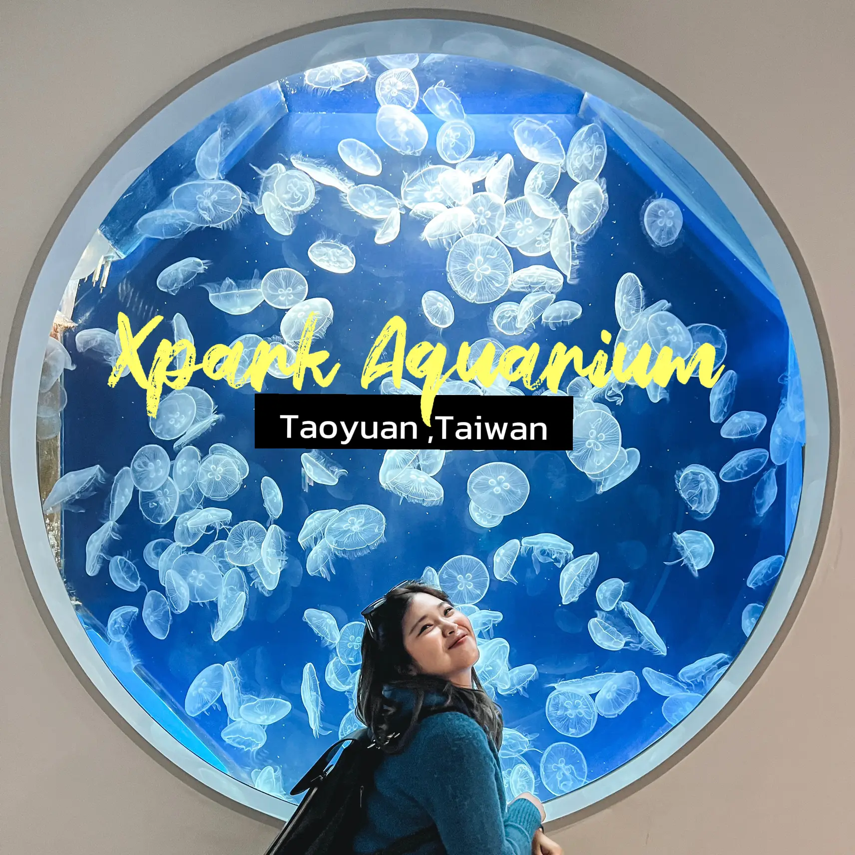 📍Xpark Aquarium - เถ้าหยวน ไต้หวัน ไปง่ายๆ ใกล้Outlets | แกลเลอรีที่โพสต์โดย Lk🐷💕 | Lemon8