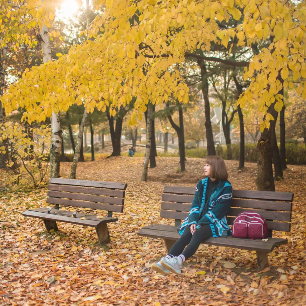 Seoul Forest Park สวนที่ใบไม้เปลี่ยนสีสวยสุดในโซล 🍁🍂 | แกลเลอรีที่โพสต์ ...