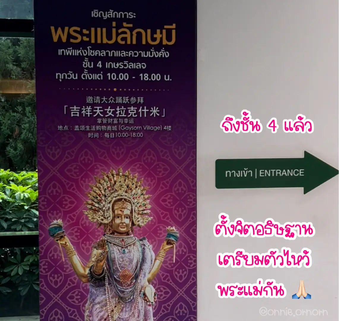 ॐ พามู #พระเเม่ลักษมี ตึกเกษร 💖ซื้อดอกบัวที่ไหนดี | แกลเลอรีที่โพสต์โดย ...