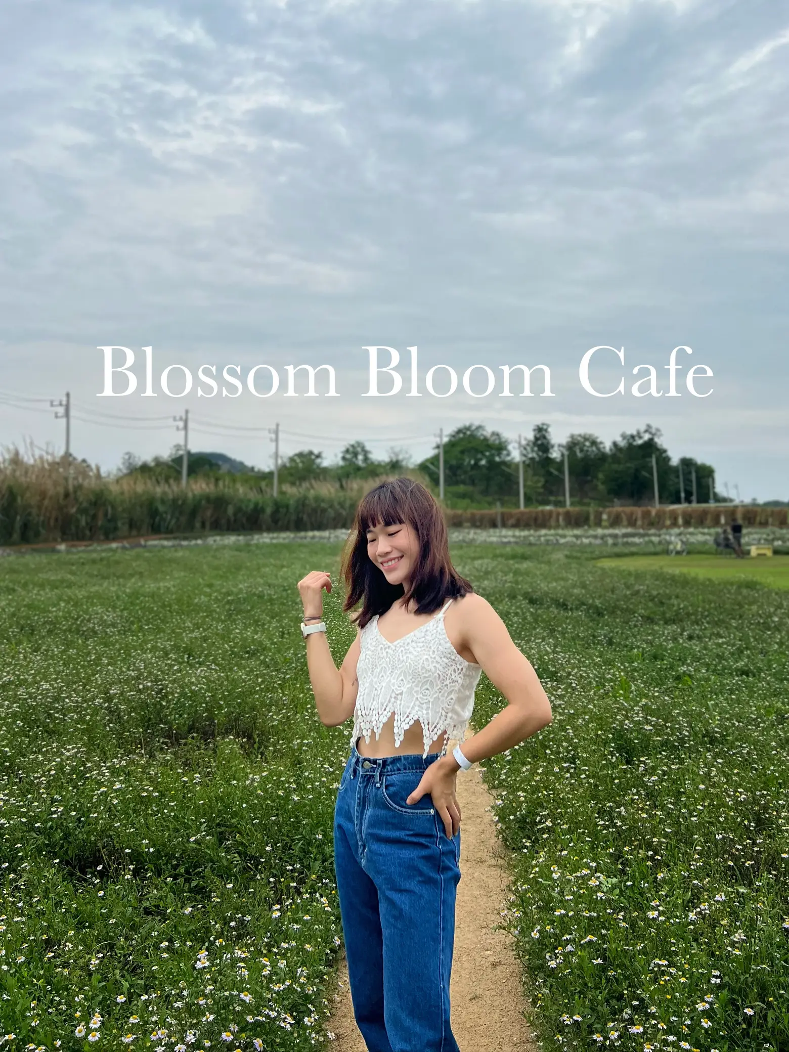 Blossom Bloom Cafe 🌼🌸🌺 | วิดีโอที่เผยแพร่โดย SRNSORNN | Lemon8