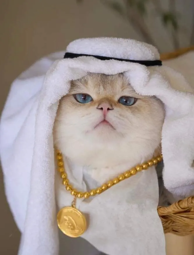 เศรษฐีดูไบ 💸 | แกลเลอรีที่โพสต์โดย เหมียวมารีวิว ฯ | Lemon8