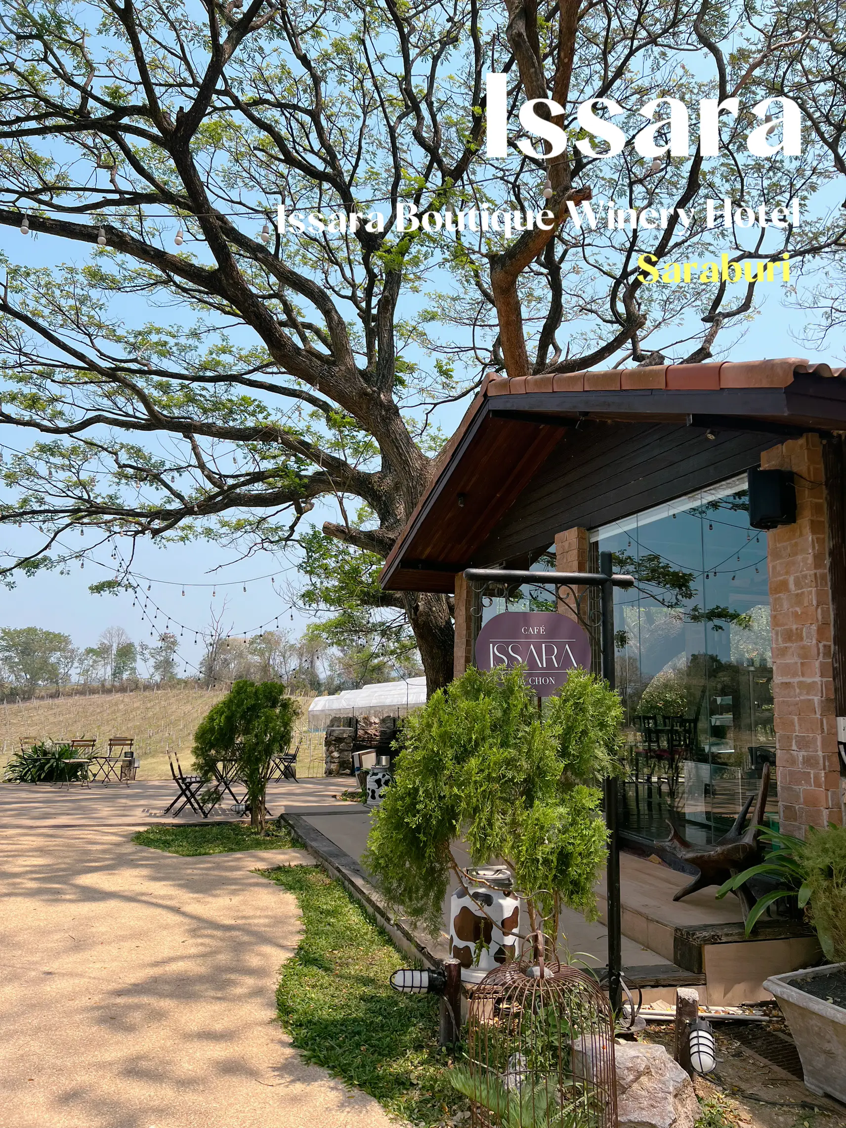 คาเฟ่ท่ามกลางไร่องุ่น : Issara Boutique Winery Hotel 🍇🍃 | แกลเลอรีที่โพสต์โดย F♡ | Lemon8