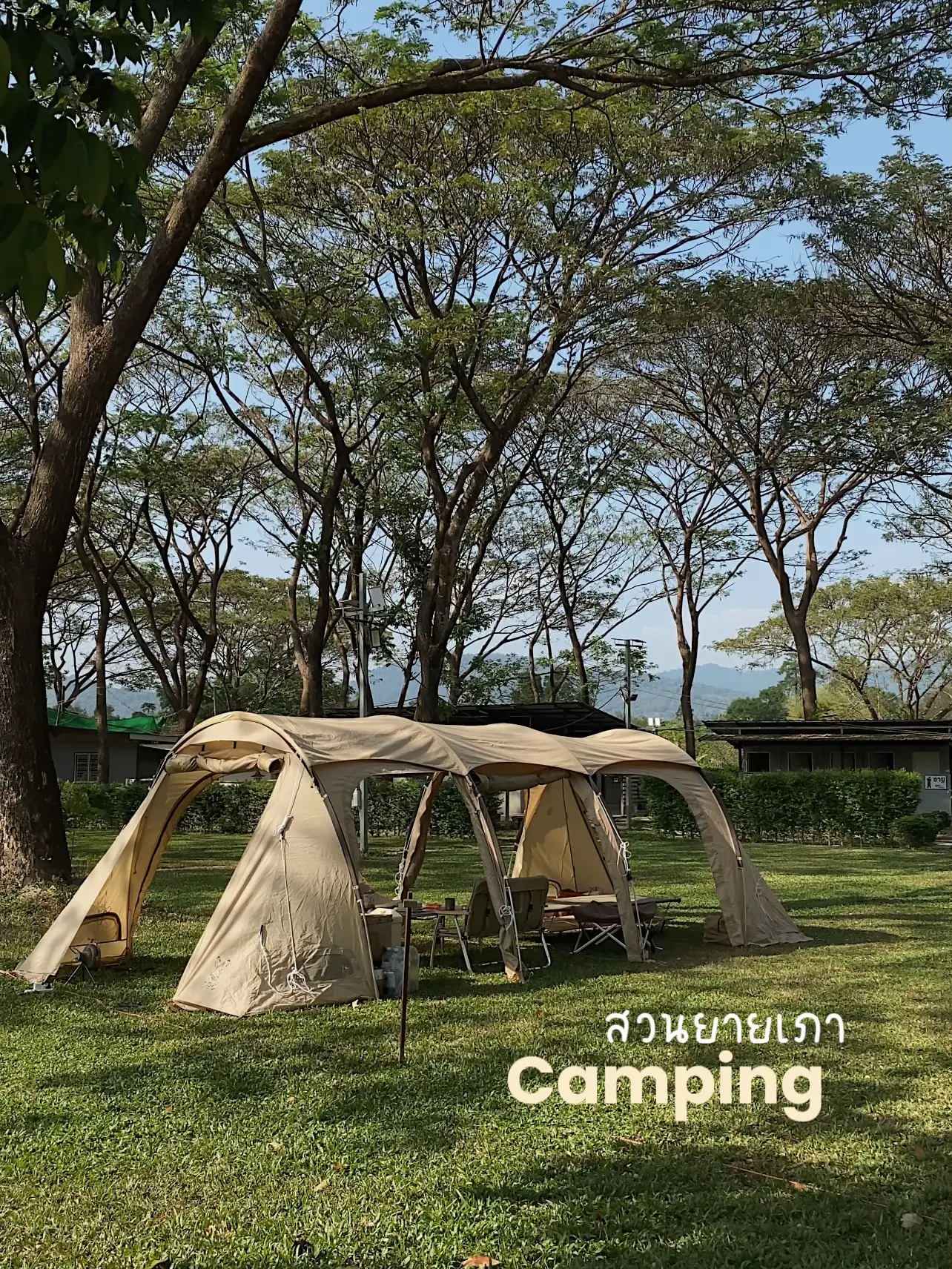 SAFE HAVEN 🏕️ ลานกางเตนท์เขายายเที่ยง 🍃 | แกลเลอรีที่โพสต์โดย MLskk🧸 ...