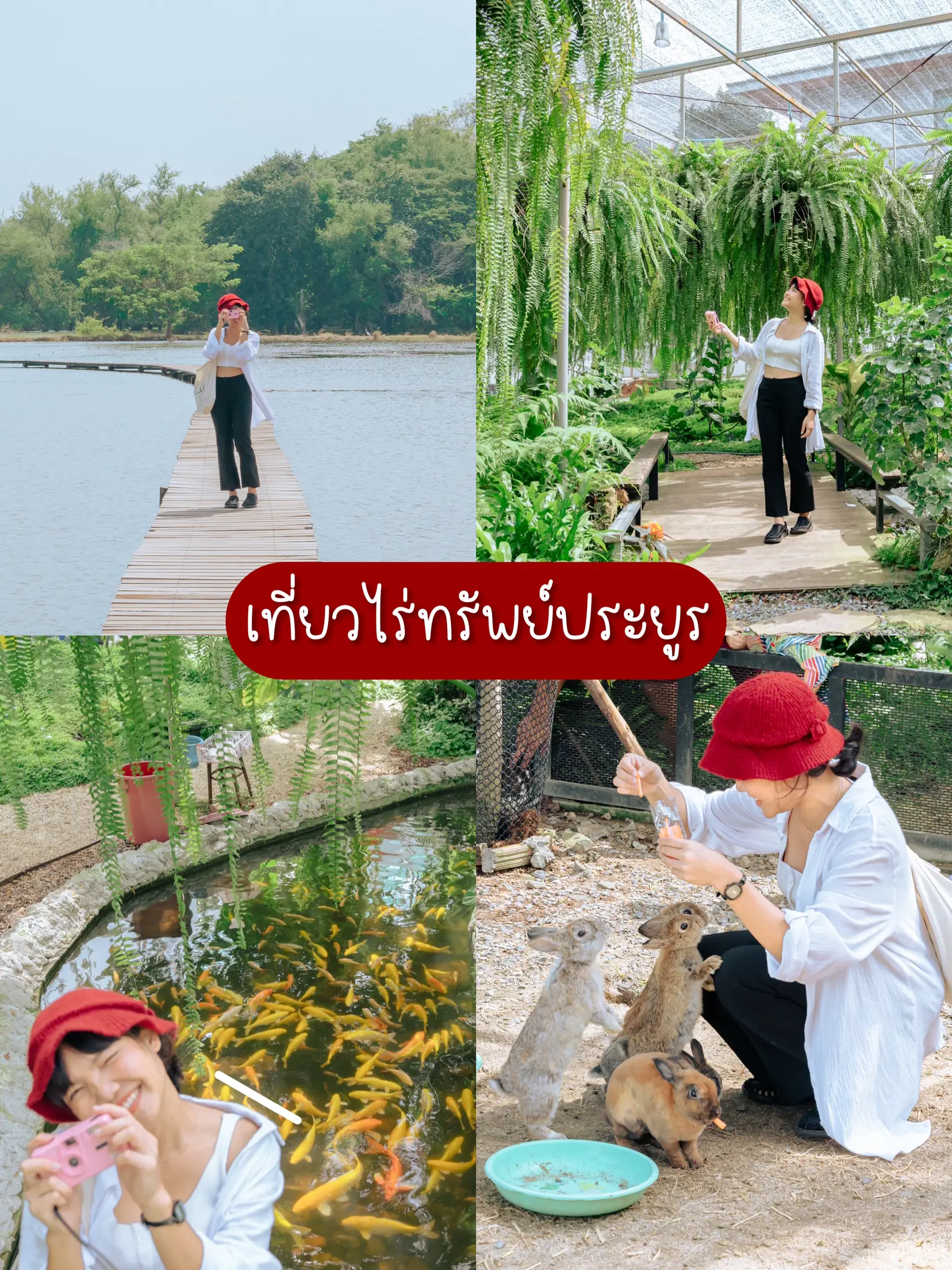รถไฟลอยน้ำ คนละ 330.- วิวสวยมากกก!!! | แกลเลอรีที่โพสต์โดย annalist ...