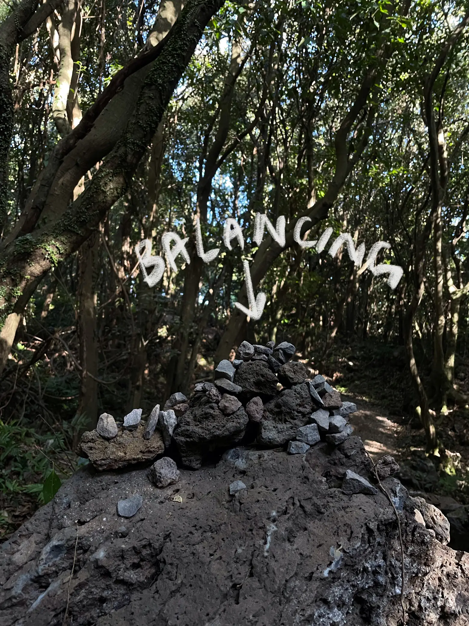 Peaceful Forest Trail: Hwansang Forest 🌳 | Gallery posted by Ethan Chan ...