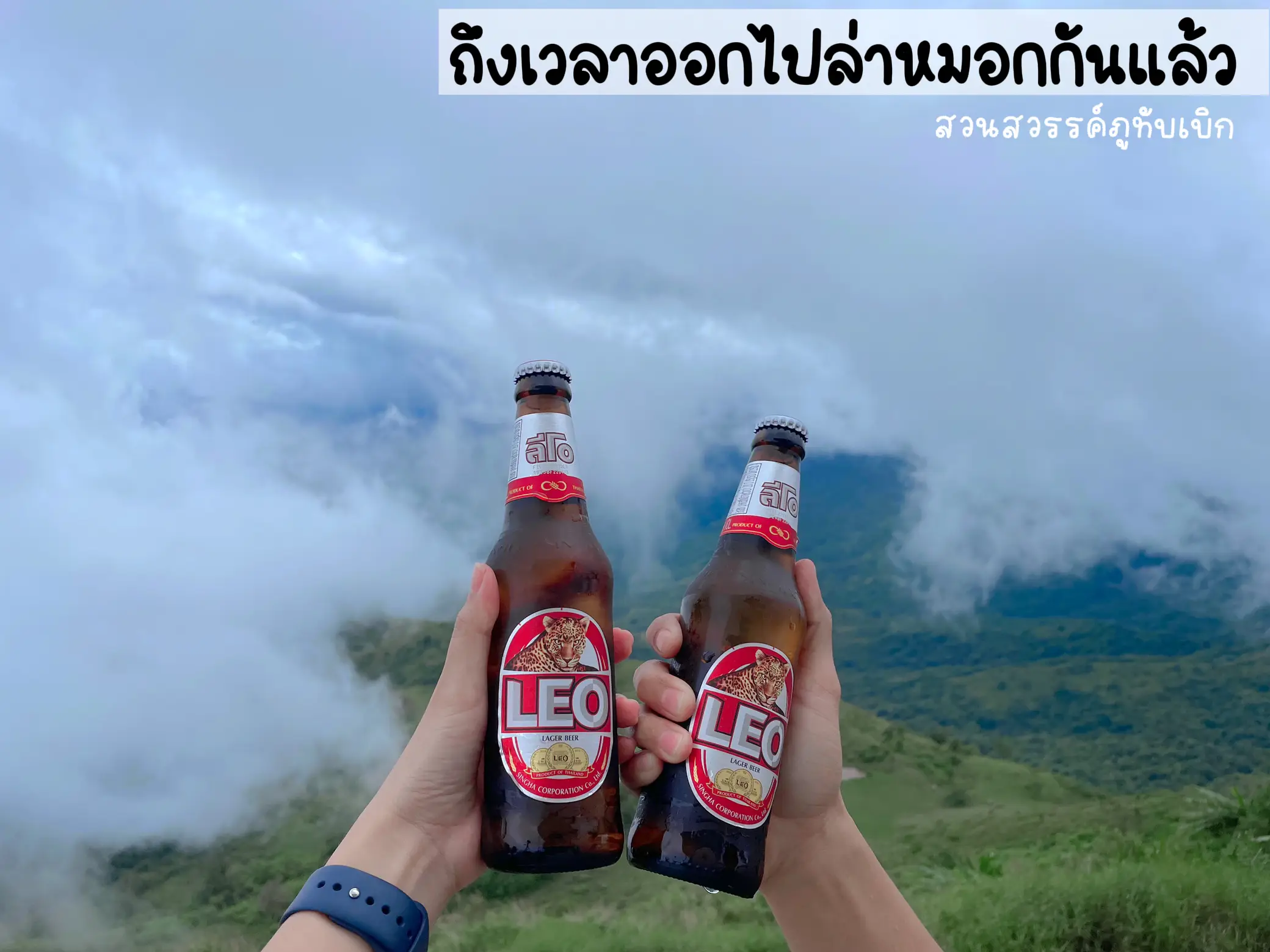 Let's go out fog hunting!! | Gallery posted by Nuna 💕 | Lemon8