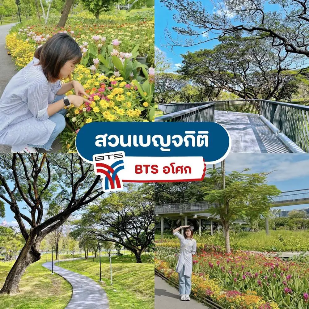 🌲ปักหมุด 7 พิกัดสวนสาธารณะในกรุงเทพ🎋เดินทางง่ายใกล้ BTS 🚝 | แกลเลอรีที่ ...