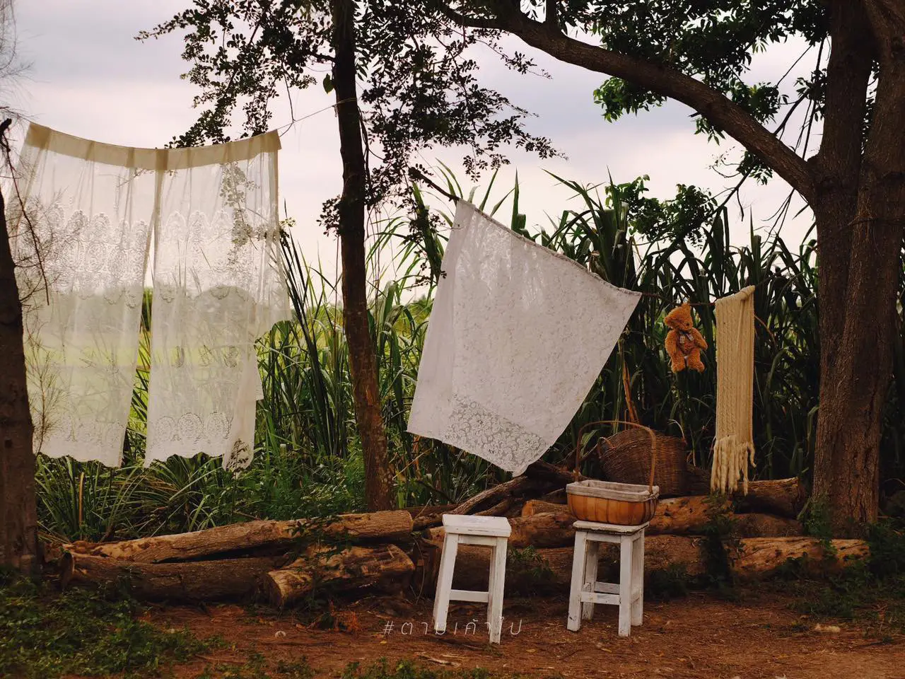 Záda.space คาเฟ่ไทรน้อย mood ดีมากกก | แกลเลอรีที่โพสต์โดย seenamz | Lemon8