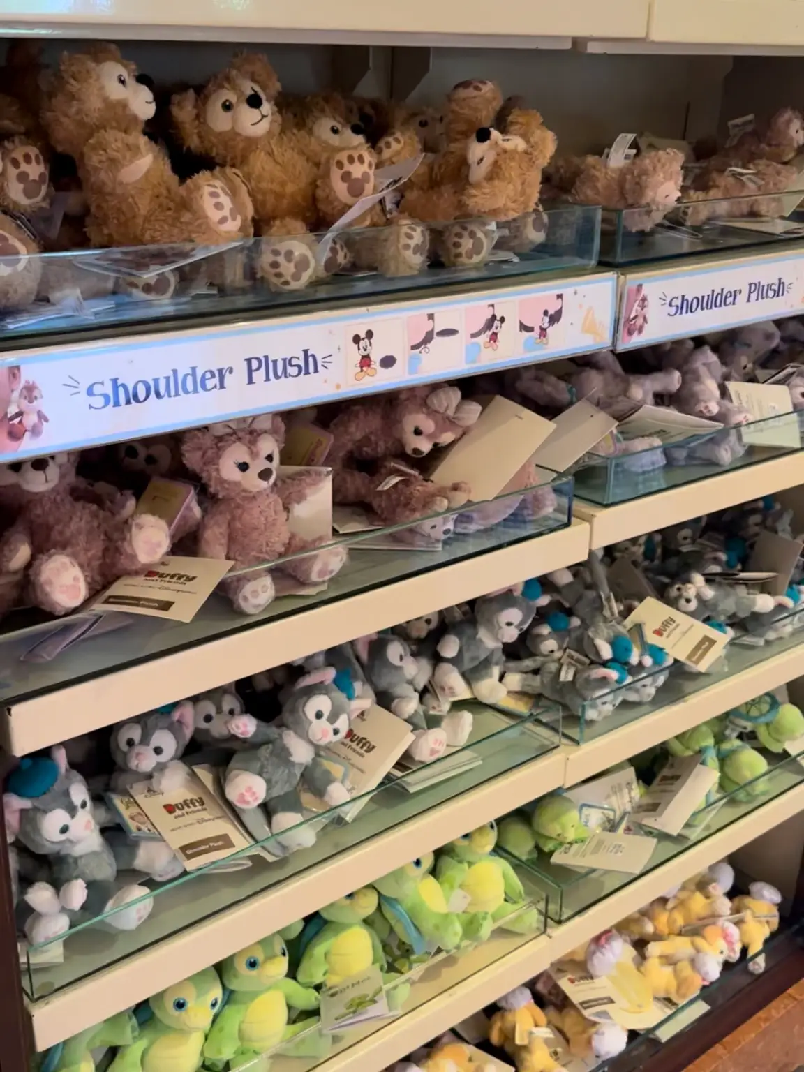 DISNEYLAND TIPS ｡ ｡･:*˚ | แกลเลอรีที่โพสต์โดย yuki ⋆˚ ˖° | Lemon8