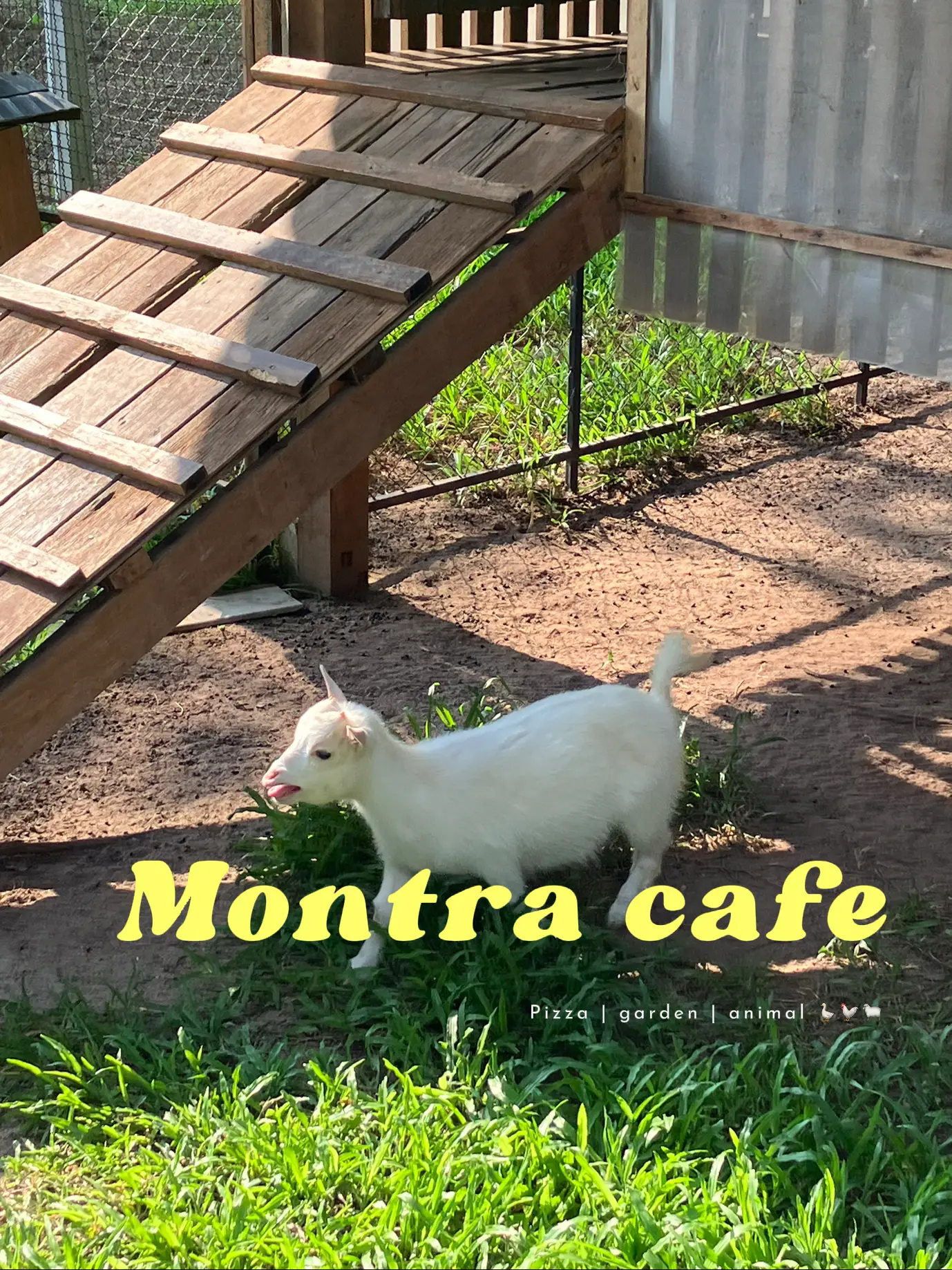 Montra cafe นครนายก | แกลเลอรีที่โพสต์โดย Rapee | Lemon8