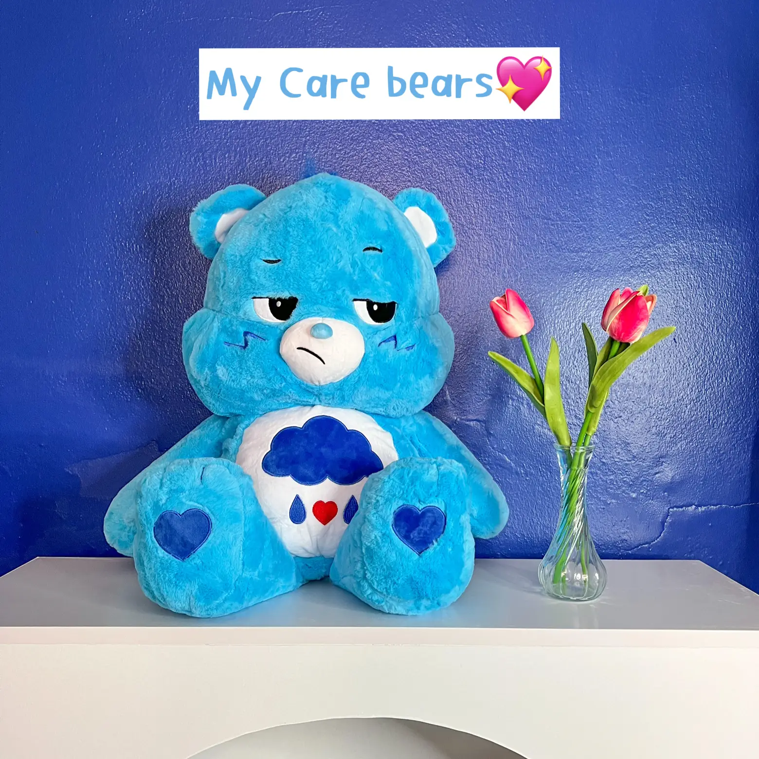 นิสัยของแคร์แบร์แต่ละตัว - การค้นหาใน Lemon8