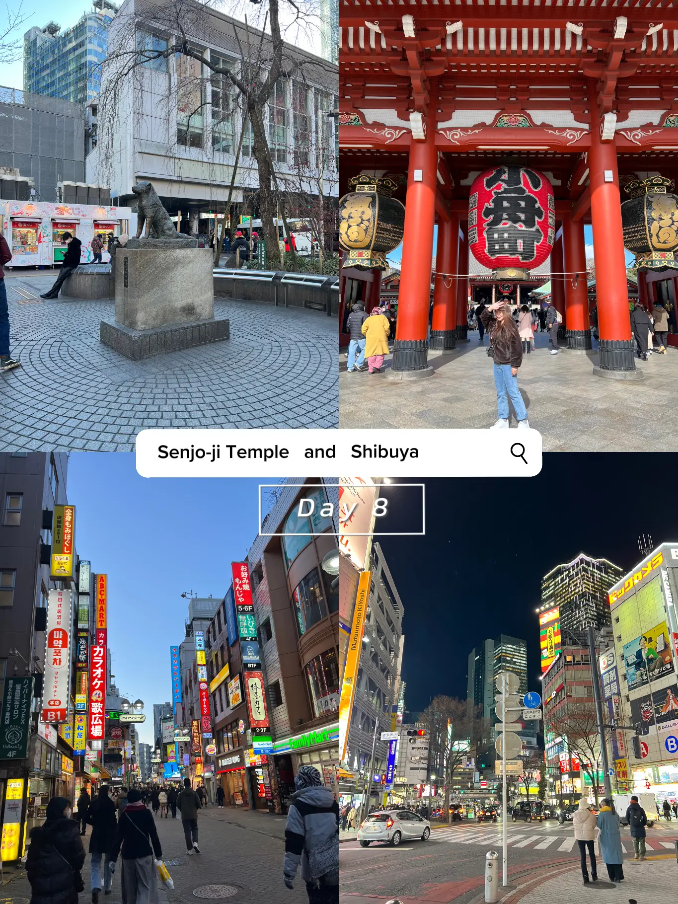 In Japan 9 Days 🗻⛄️ ️🎏 | แกลเลอรีที่โพสต์โดย zєяρσρ.🪐 | Lemon8