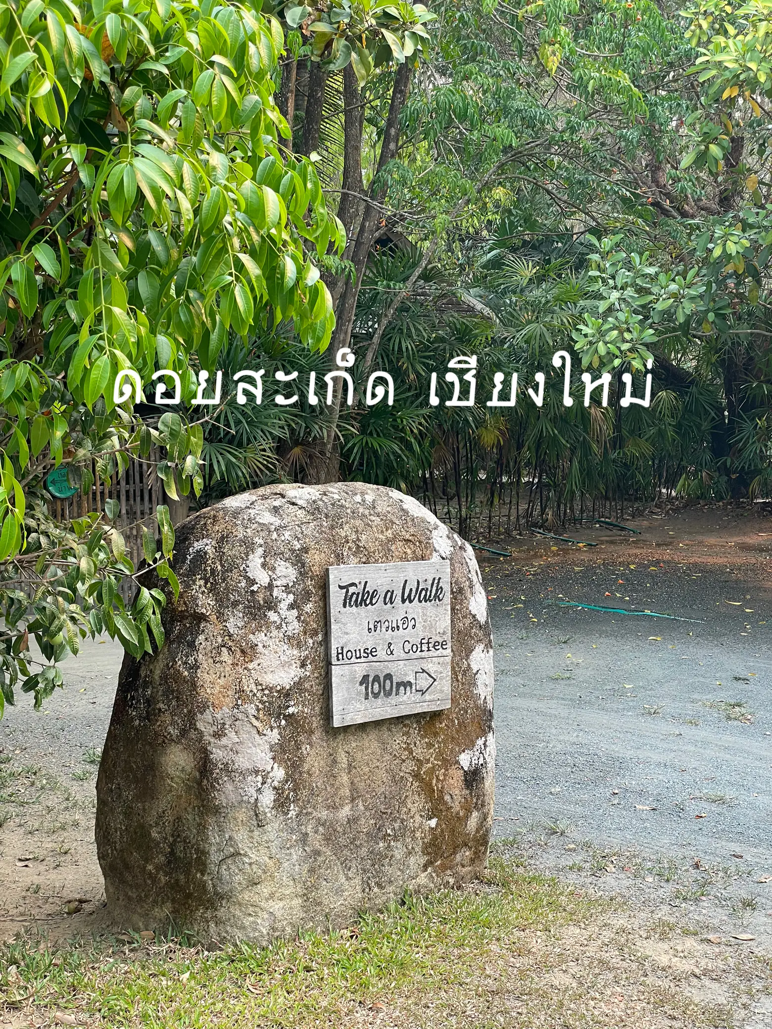 คาเฟ่เชียงใหม่ สายธรรมชาติ | แกลเลอรีที่โพสต์โดย Na Boon House | Lemon8