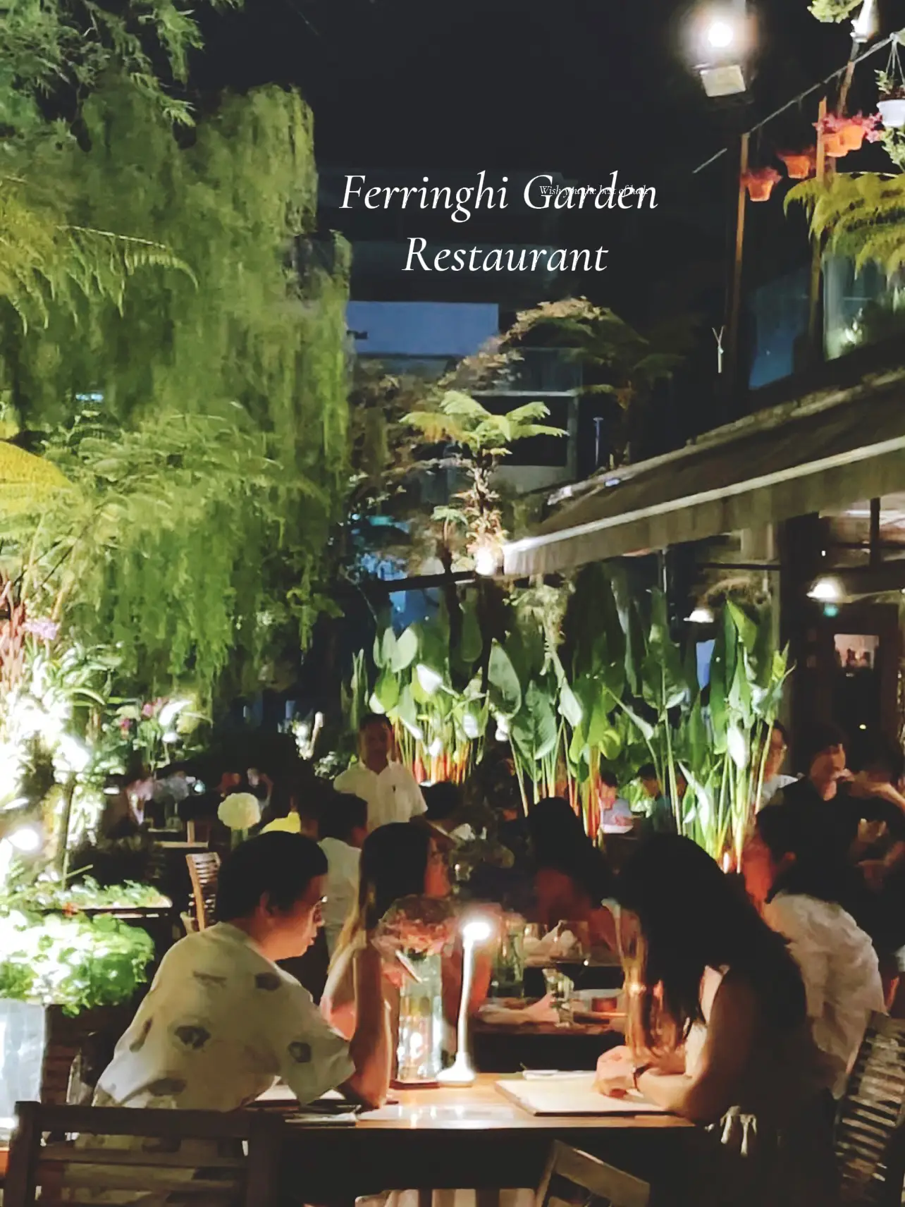 Ferringhi Garden Food Review | Fasci Garden