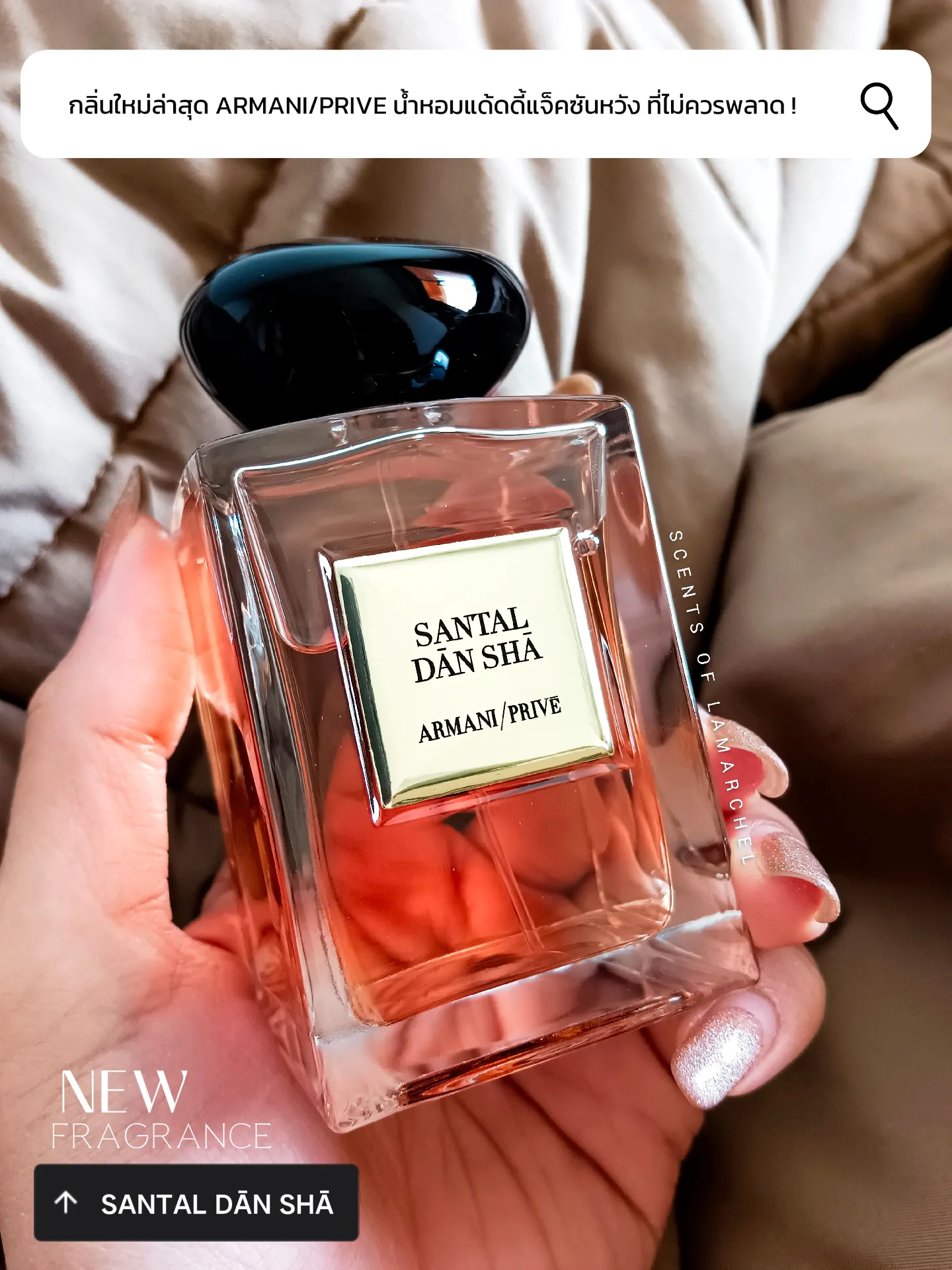 SANTAL DAN SHA | น้ำหอมกลิ่นวู้ดดี้ที่สดชื่น 🪵 | แกลเลอรีที่โพสต์โดย mi ...