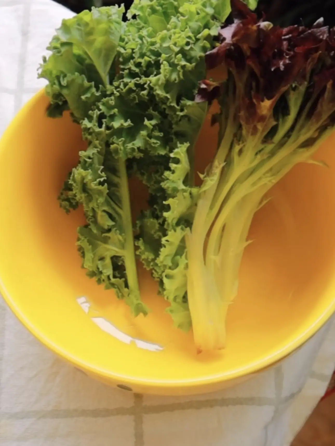 ทำสลัดผลไม้สีสวยกัน💚 | แกลเลอรีที่โพสต์โดย HDWM | Lemon8