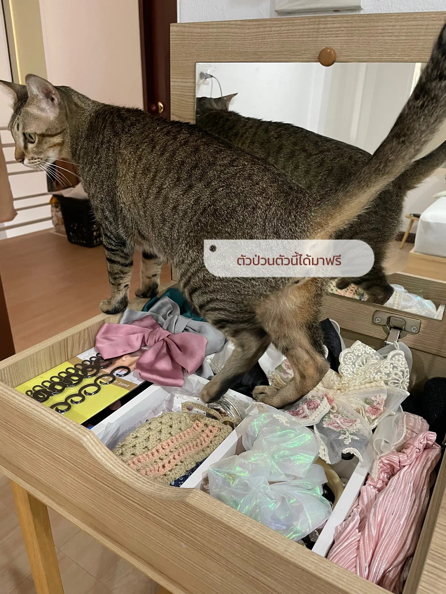 ห้องนอนโปร่ง แบบซ่อนของใช้ | แกลเลอรีที่โพสต์โดย lllkkk | Lemon8