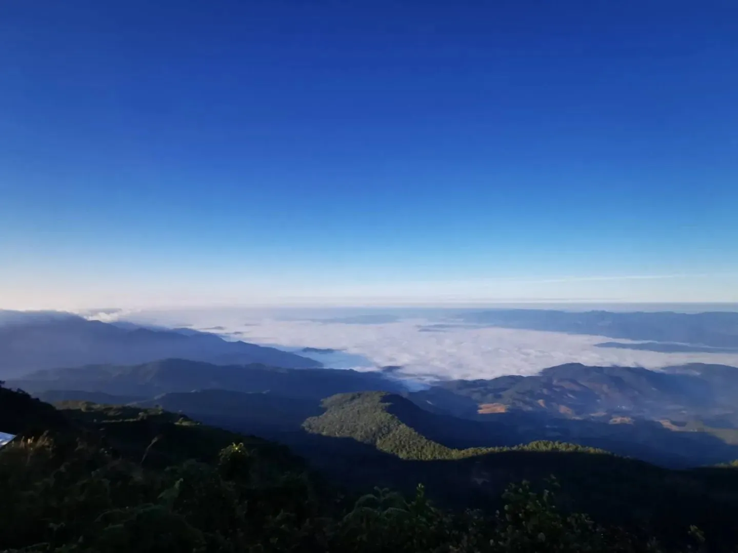 The body needs natural therapy. | Gallery posted by Yui | Lemon8