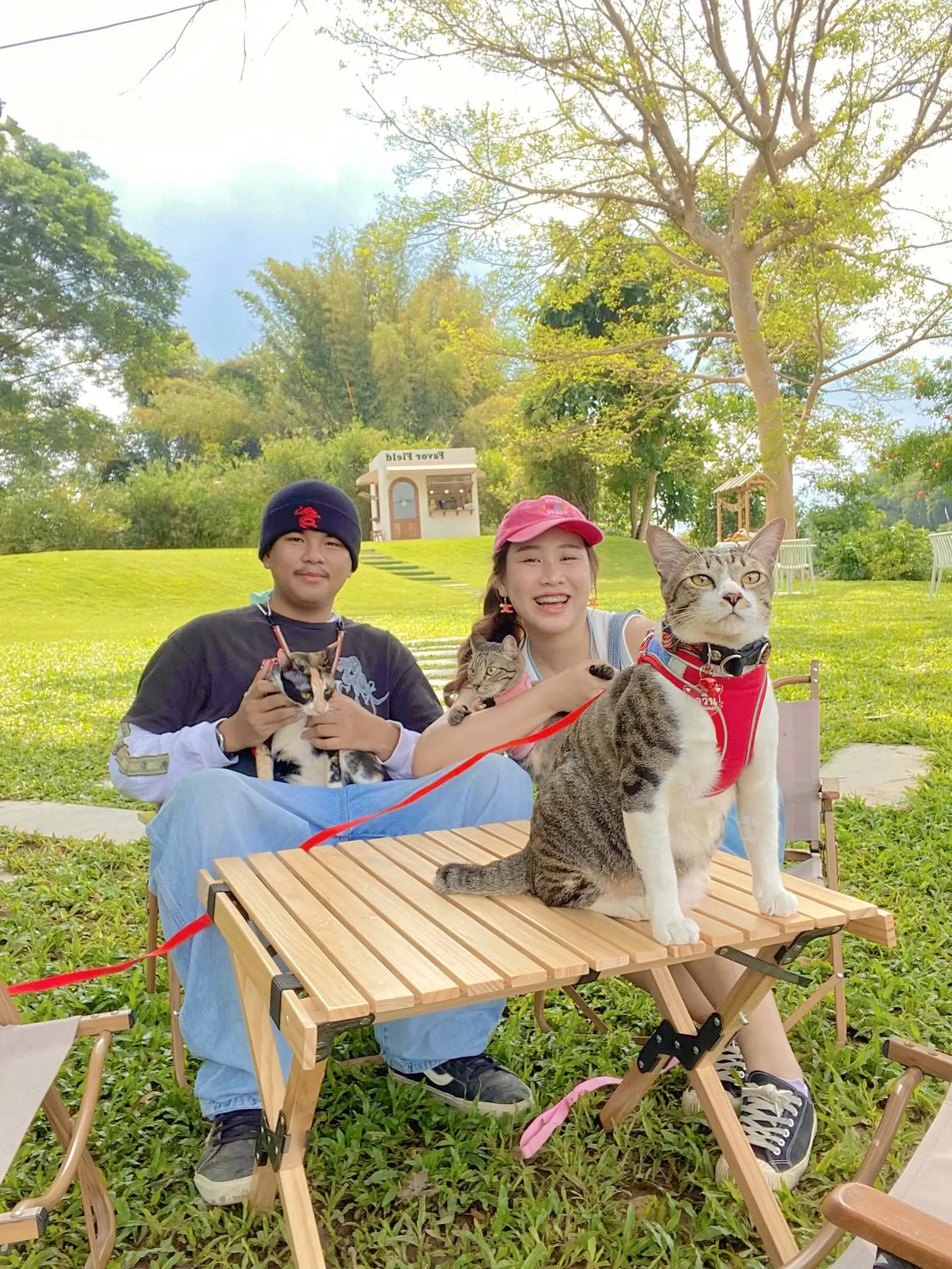 พาเจ้าเหมียว เที่ยวคาเฟ่ Pet friendly สระบุรี | แกลเลอรีที่โพสต์โดย Magazine | Lemon8