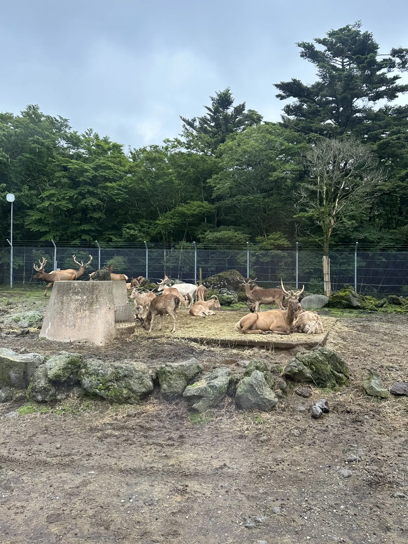 GET UP CLOSE WITH THE MOST VICIOUS PREDATORS !! 😱😱 | Gallery posted by ...