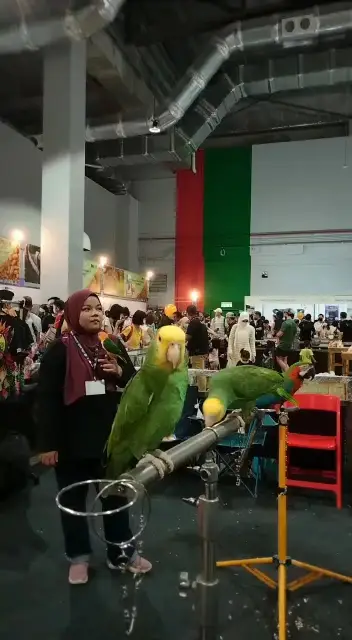 🐦 Bird Bird so cute ️ | วิดีโอที่เผยแพร่โดย Ekspo Haiwan | Lemon8