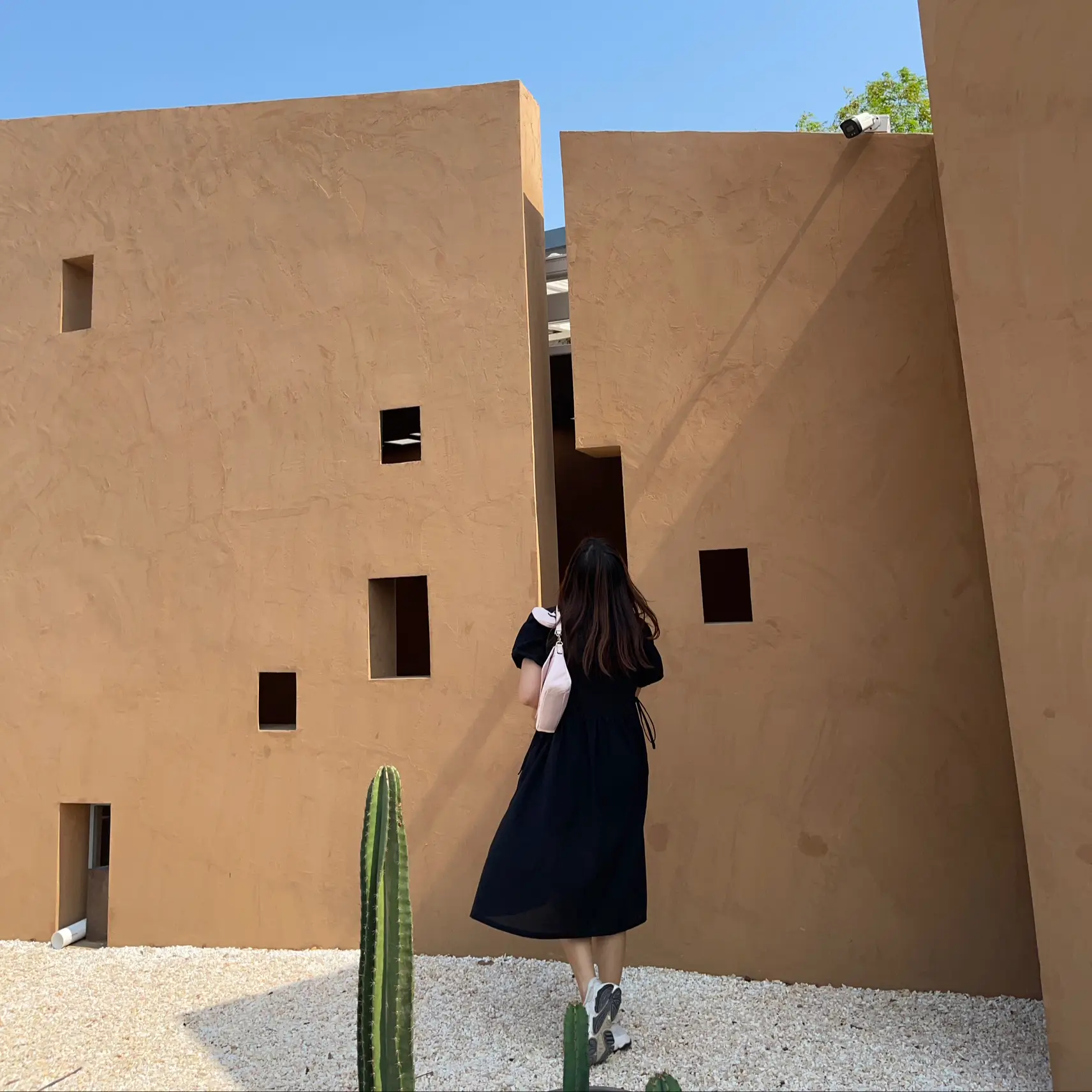 Sicha’s คาเฟ่ถูกใจสายถ่ายรูป | แกลเลอรีที่โพสต์โดย Phinanan S. | Lemon8