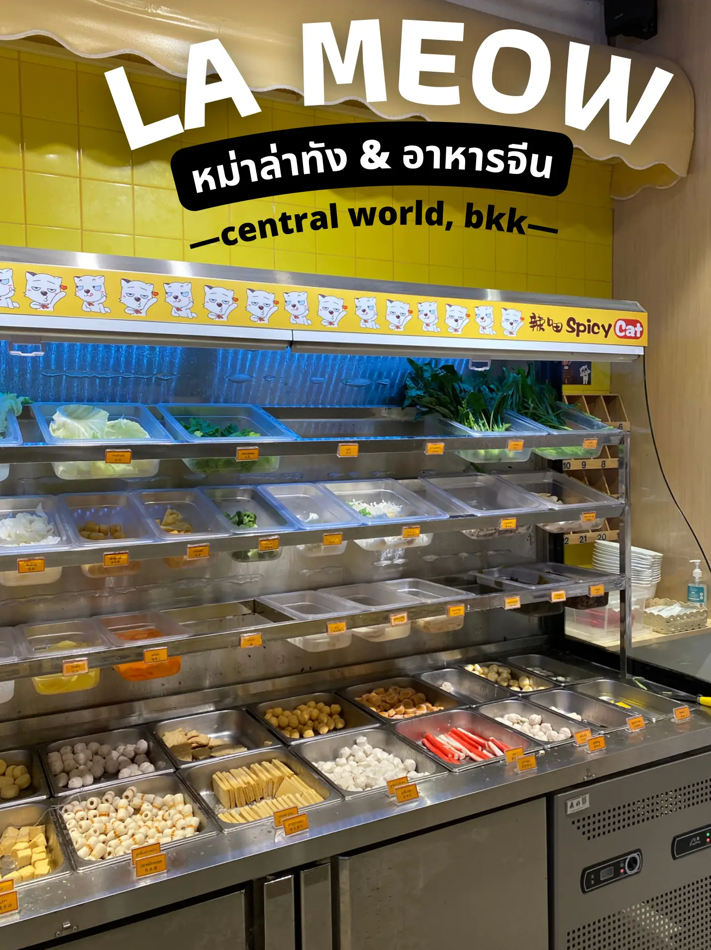 —LA MEOW（辣喵）—เซนทรัลเวิลด์ ชั้น7 | แกลเลอรีที่โพสต์โดย punchptr | Lemon8