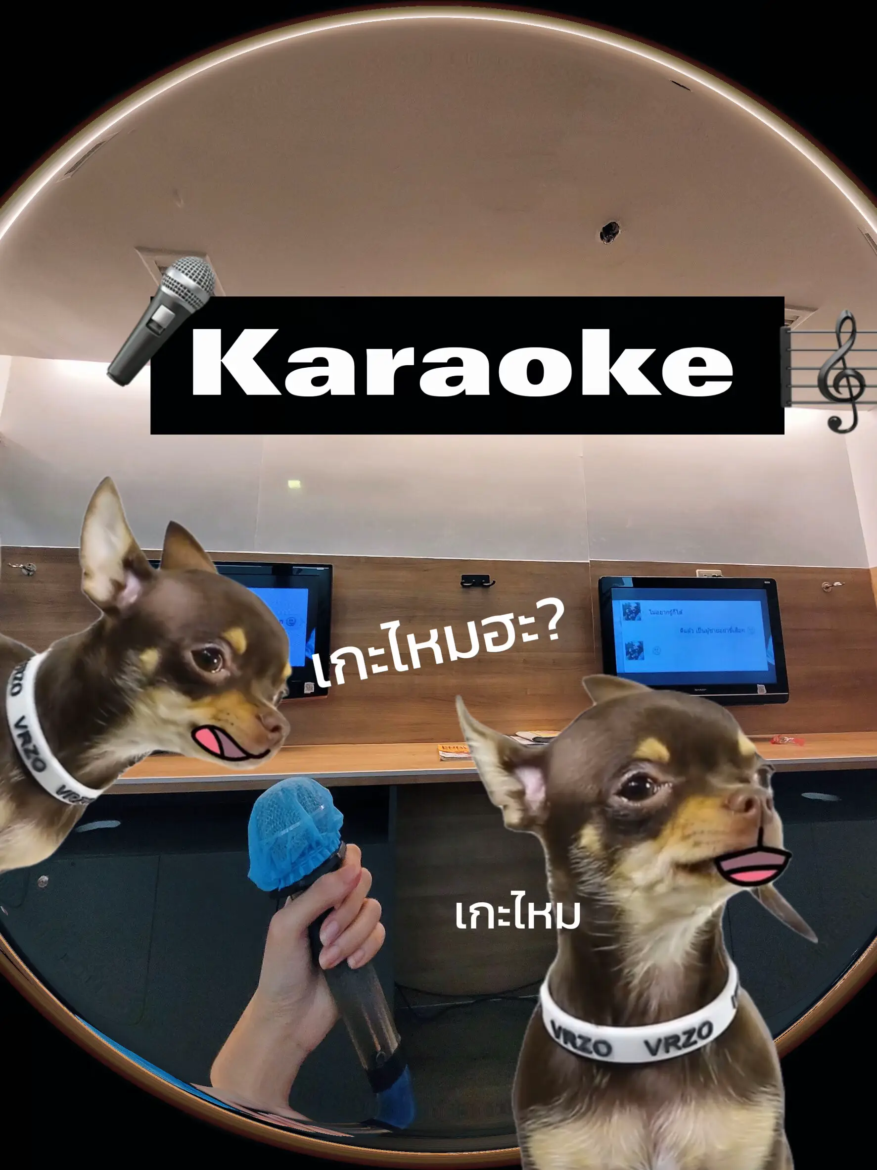 ร้อง ฟิน กินเพลิน! คาราโอเกะธีมเทพนิยายสุดชิคที่ Echo House🎤 | แกลเลอรีที่โพสต์โดย Rattomarty ...