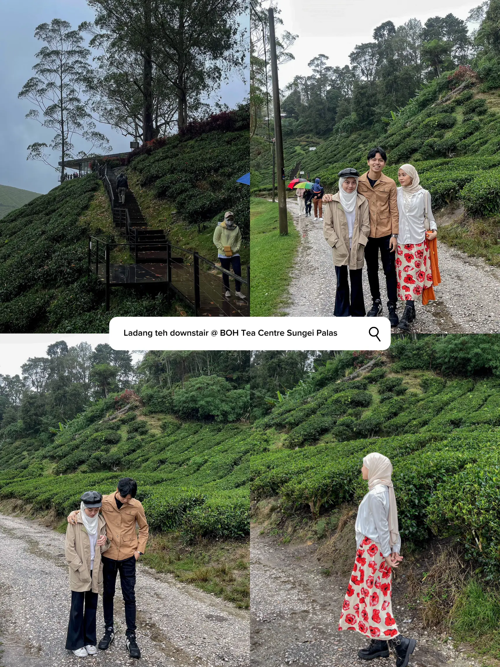 OOTD Spots in Cameron Highlands Collection 🍃☕️ | Galeri disiarkan oleh ...