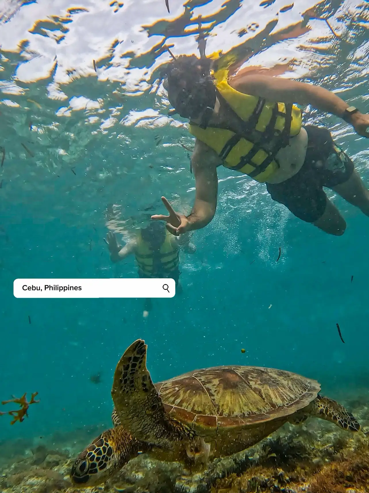 Cebu, Philippines 🇵🇭 | Gallery posted by Warren Wonder | Lemon8