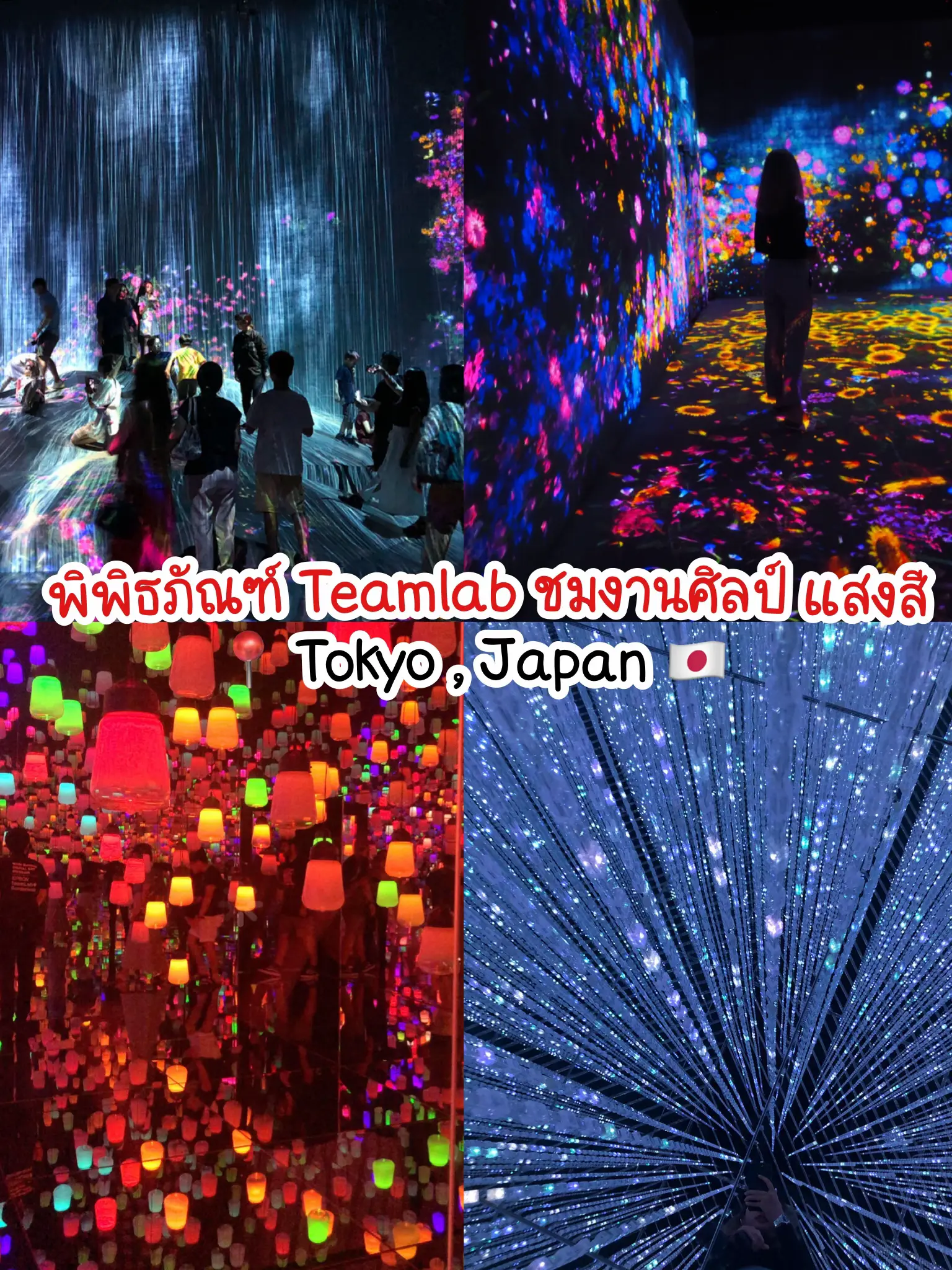 พิพิธภัณฑ์ Teamlab ชมงานศิลป์ แสงสีที่ Tokyo , Japan 🇯🇵 | แกลเลอรีที่ ...