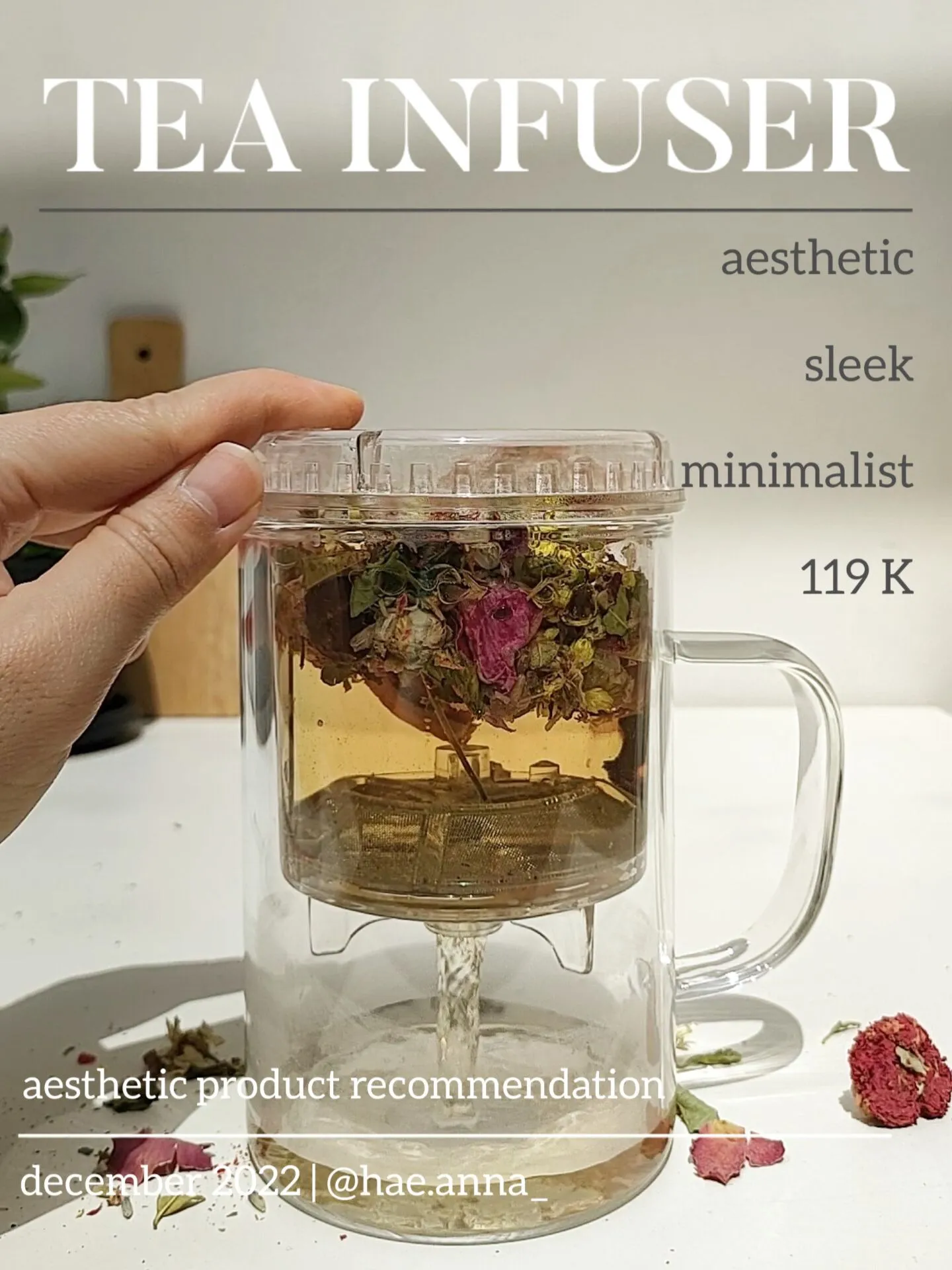 AESTHETIC TEA INFUSER 🌱- worth to buy ga yaa? 🤔 | Video dipublikasikan ...