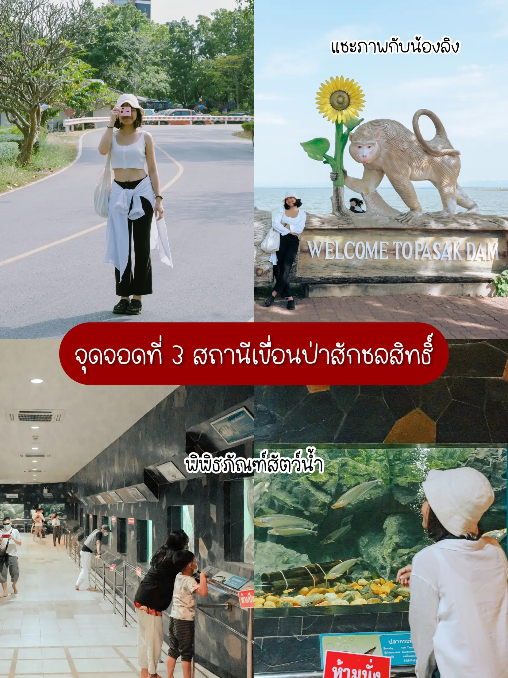 รถไฟลอยน้ำ คนละ 330.- วิวสวยมากกก!!! | แกลเลอรีที่โพสต์โดย annalist ...