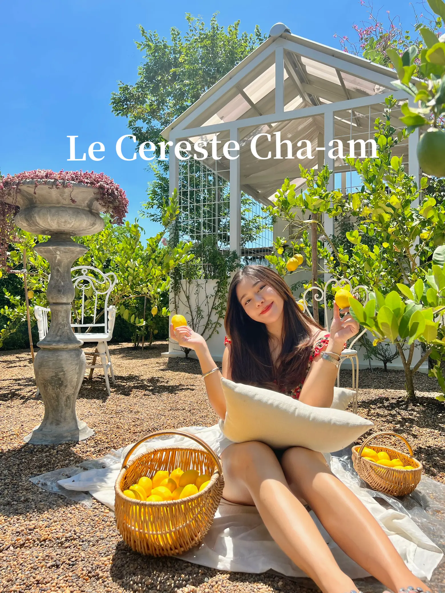 🏖Cafe Petchaburi 2022 | แกลเลอรีที่โพสต์โดย Panglpp | Lemon8