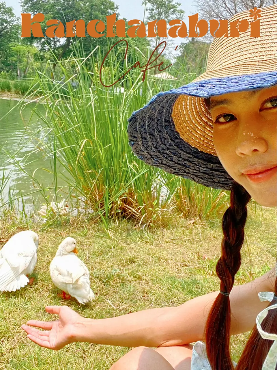 Trio Farm Cafe’ กาญจนบุรี 🌿💚🍃🫧 | แกลเลอรีที่โพสต์โดย 🫧 💖Kate🍭 | Lemon8