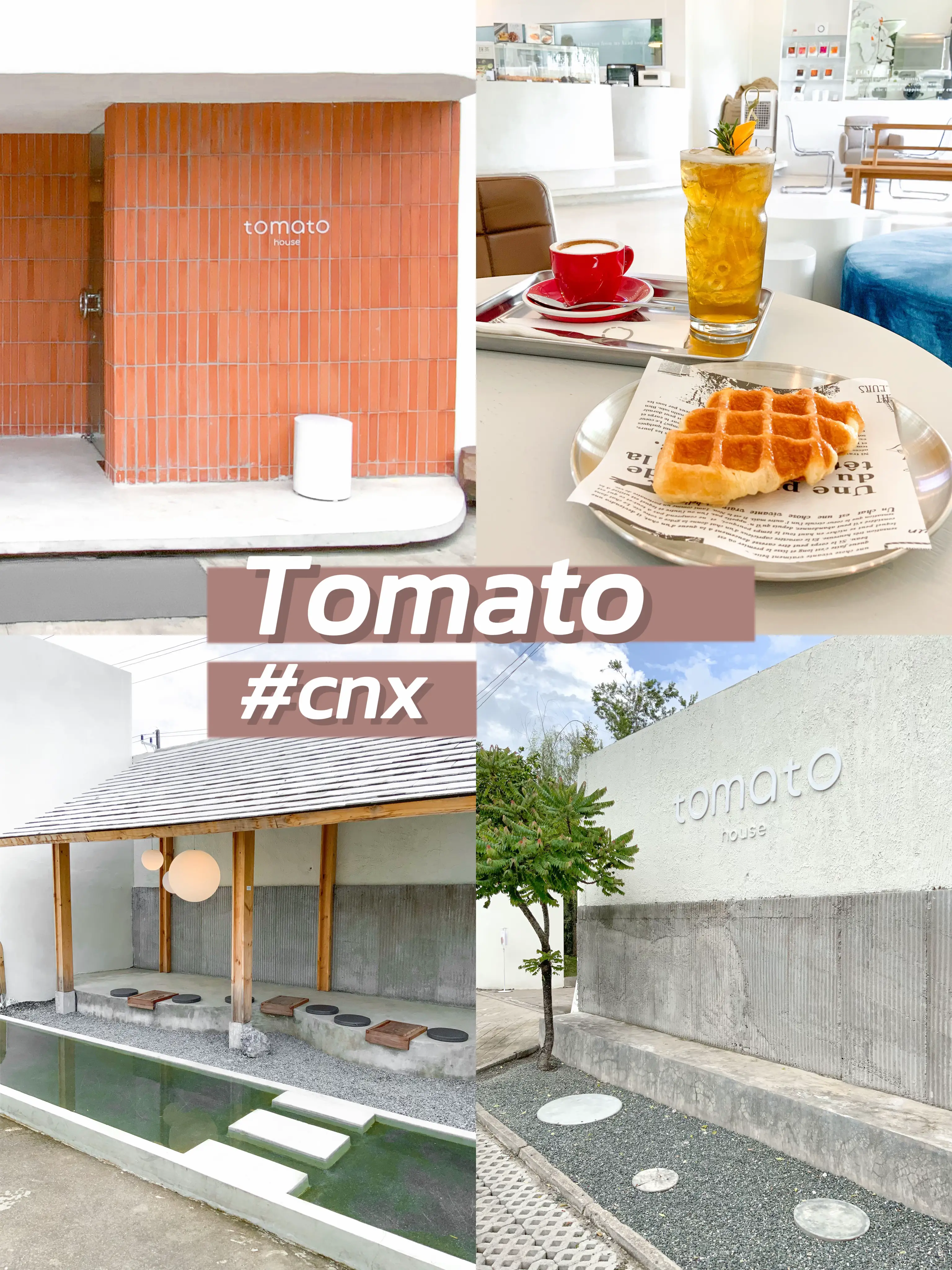 🍅Tomato House CNX คาเฟ่มินิมอลเชียงใหม่ | แกลเลอรีที่โพสต์โดย Jolly_cafe | Lemon8