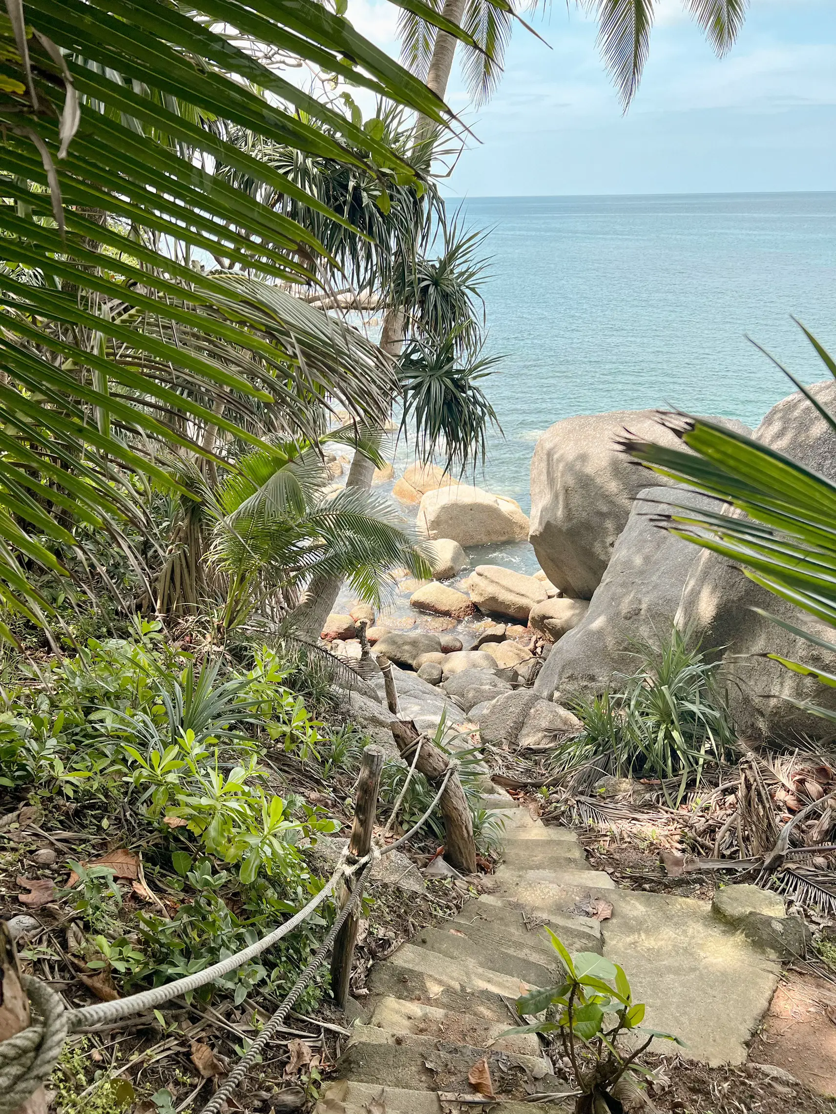 LAEM SAI CUP CAFE, PHUKET🌴 | แกลเลอรีที่โพสต์โดย Kulpornpatsorn | Lemon8