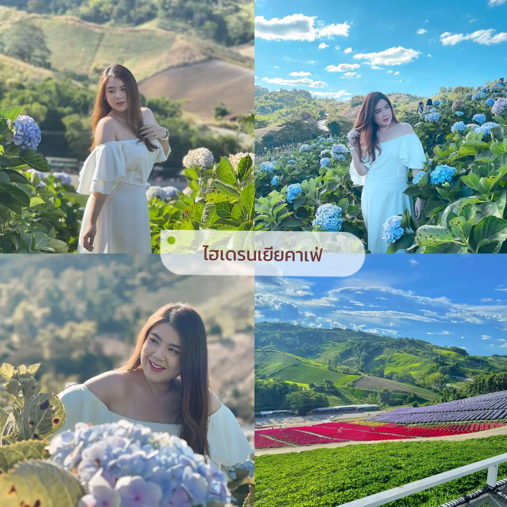 คาเฟ่ เขาค้อ''The pino latte'' | แกลเลอรีที่โพสต์โดย _.oh.nat._💖 | Lemon8