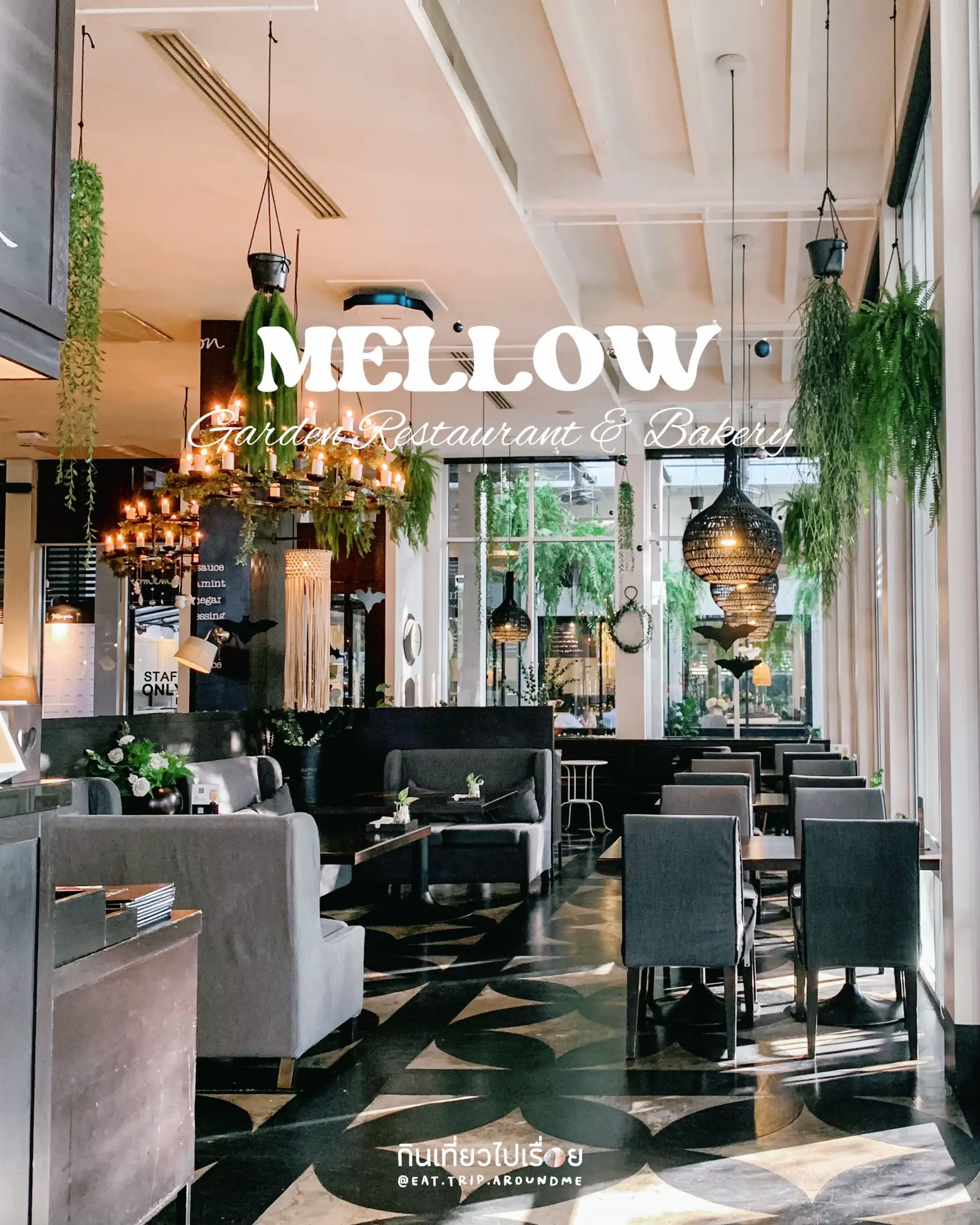 Mellow Garden ร้านสวย อาหารใช้ได้ | แกลเลอรีที่โพสต์โดย Ployycs | Lemon8