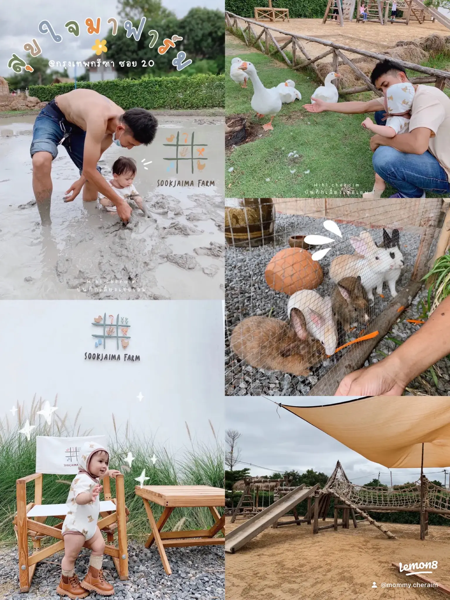 สุขใจมาฟาร์ม 🐓 กรุงเทพกรีฑา 20 | แกลเลอรีที่โพสต์โดย ไดอารี่แม่บ้าน | Lemon8